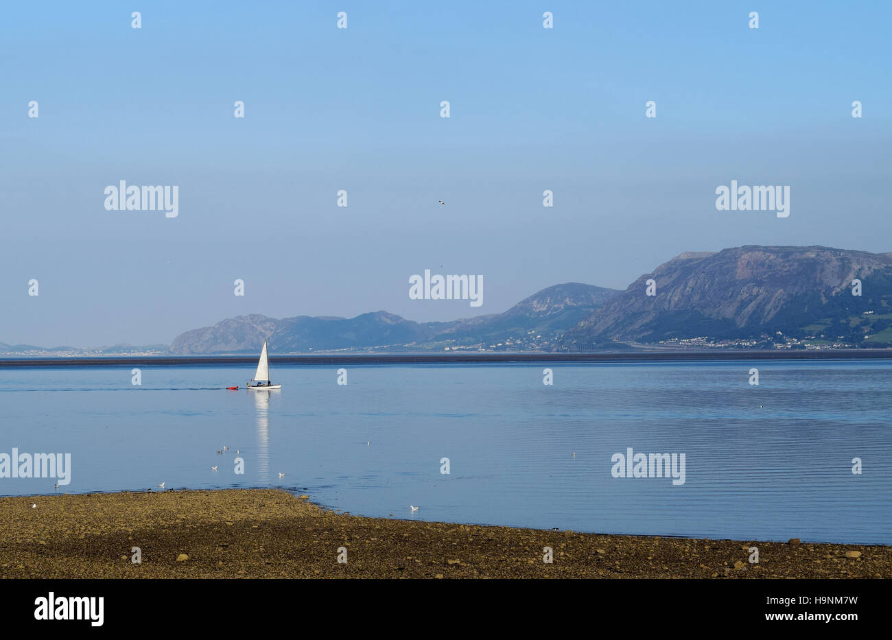 Sailing yacht anglesey hi-res stock photography and images - Alamy
