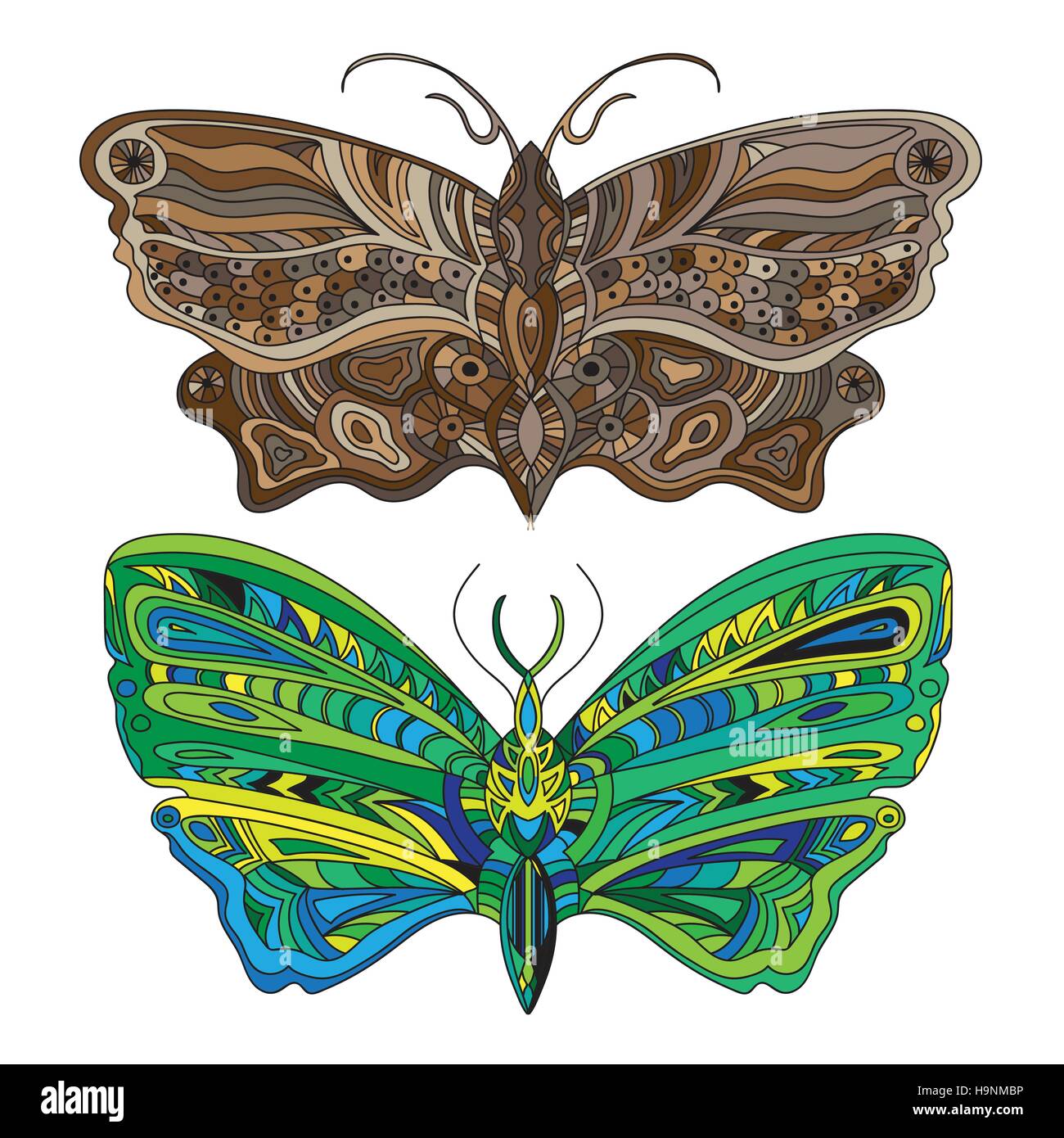 Butterfly Creative concept in bright color - Vector Stock Vector Image ...