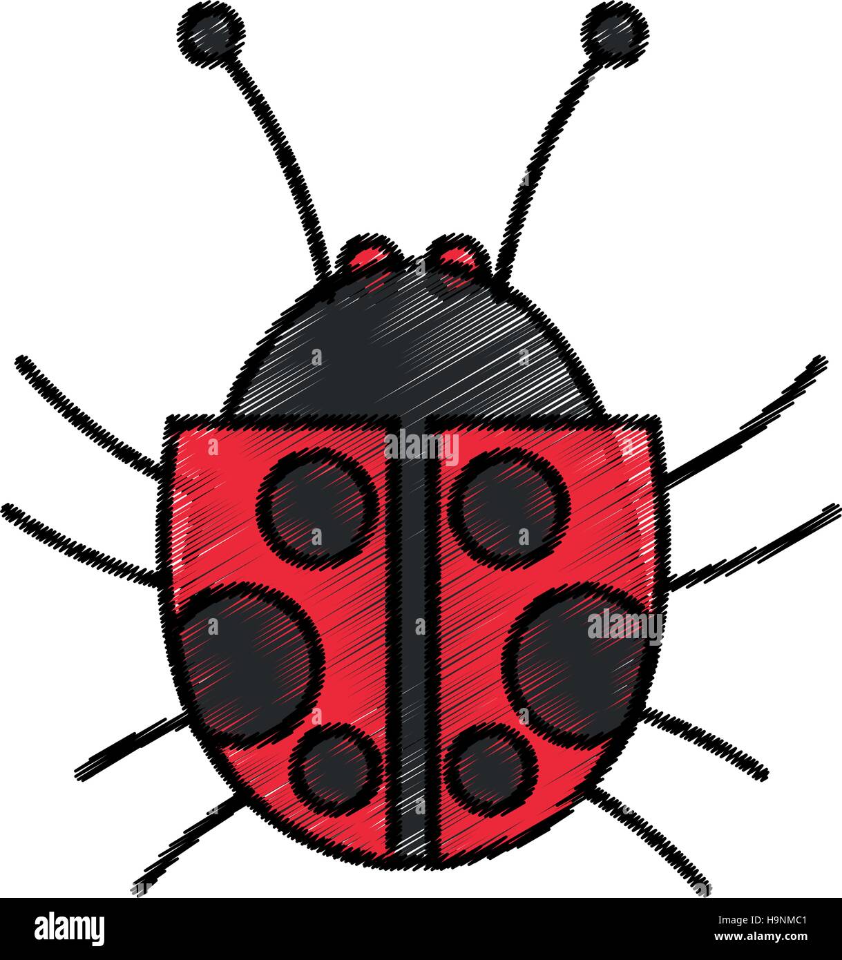 Isolated bug design Stock Vector Image & Art - Alamy