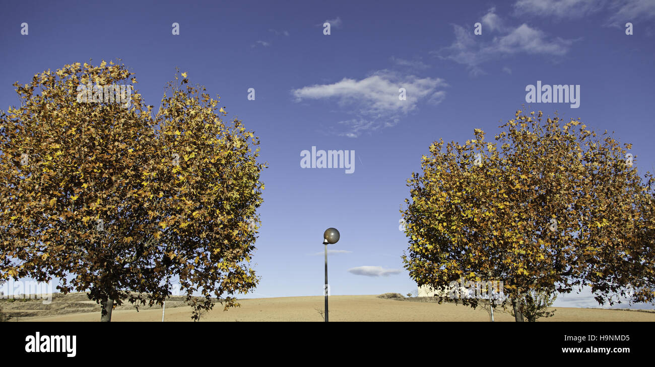 Branches of leaves hanging from tree, landscape Stock Photo - Alamy