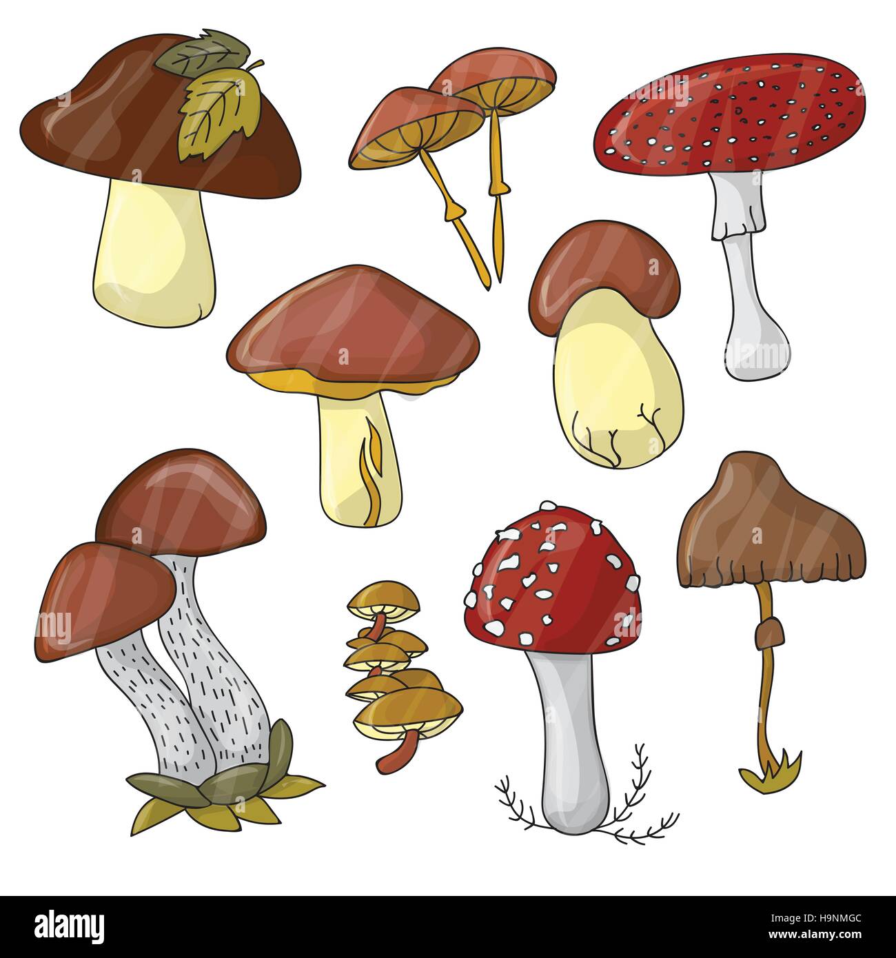 illustration with color mushrooms on white background Stock Vector ...