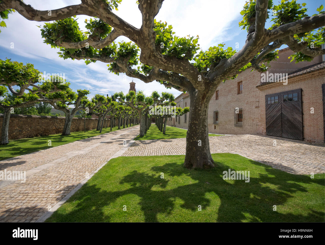 Monasterio de Veruela / Veruela Abbey, Aragon, Spain - pollarded trees ...