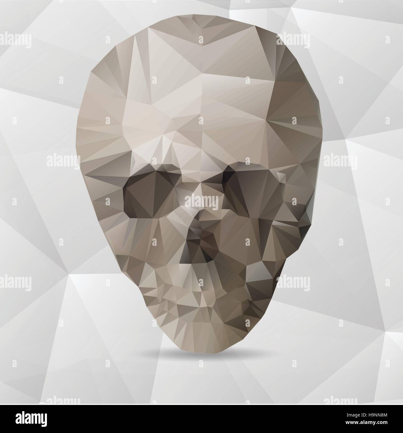 Triangular bones hi-res stock photography and images - Alamy