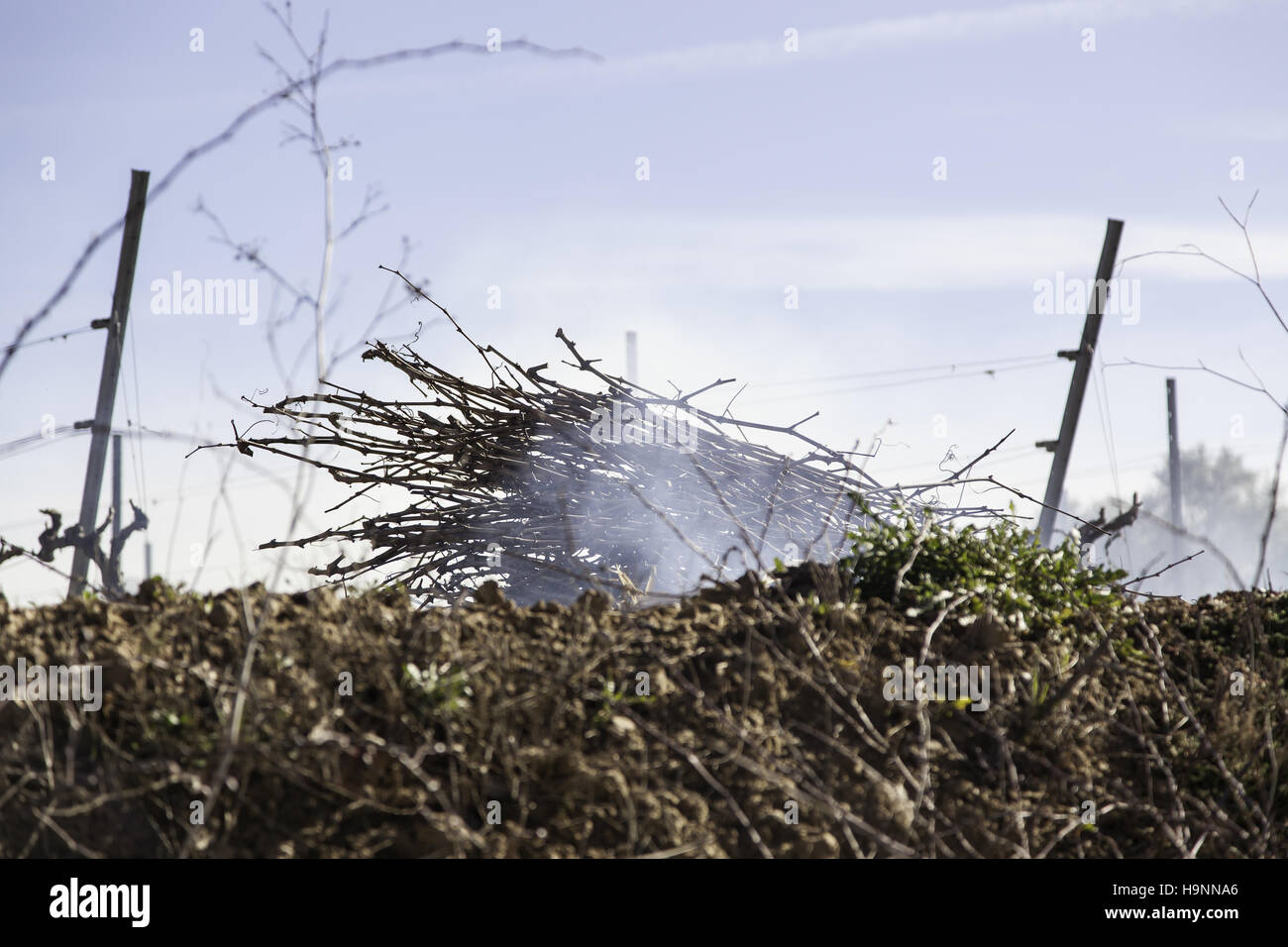 Burning stubble in field, nature and fire Stock Photo - Alamy