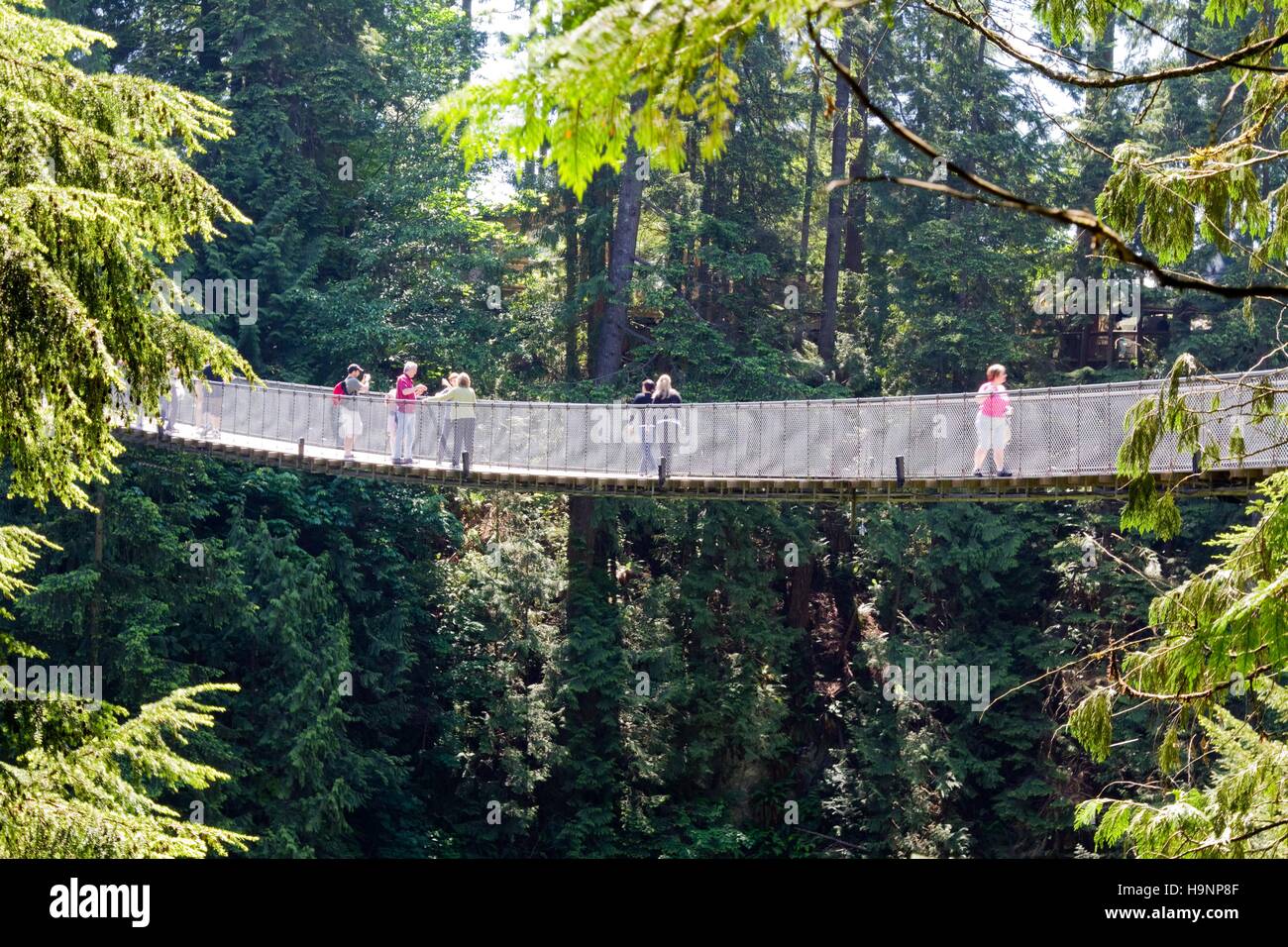 Side view of the Capilano suspension bridge in Vancouver, Canada Stock ...