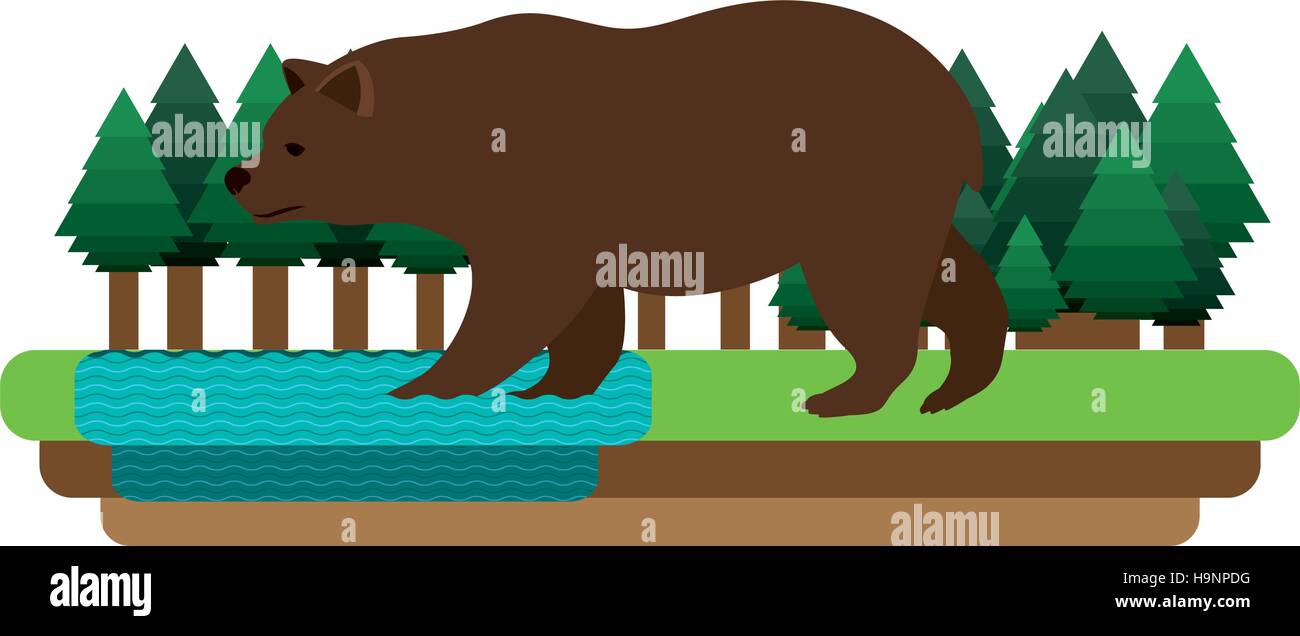 Isolated bear animal design Stock Vector Image & Art - Alamy