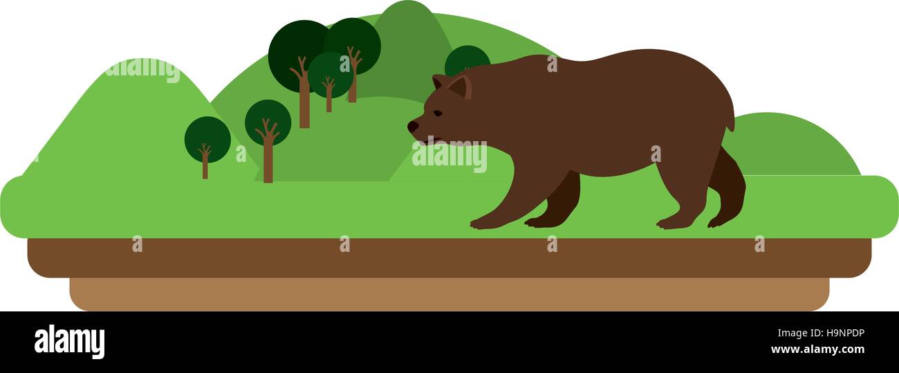 Isolated bear animal design Stock Vector Image & Art - Alamy