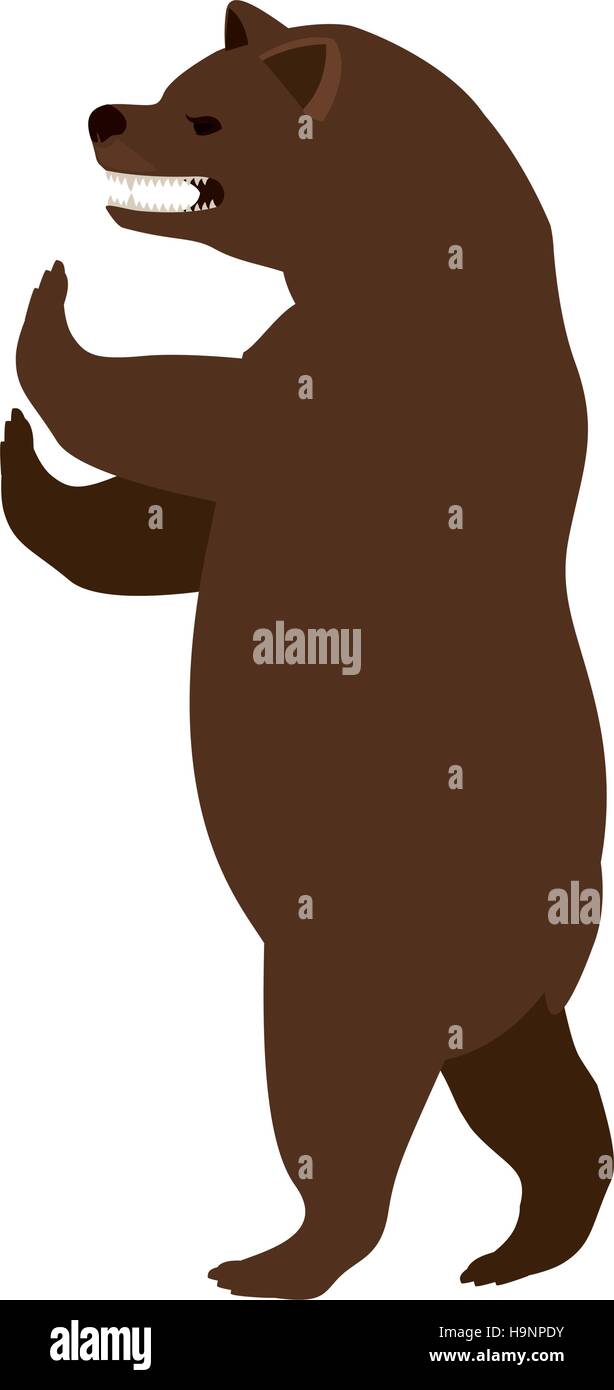 Isolated bear animal design Stock Vector Image & Art - Alamy