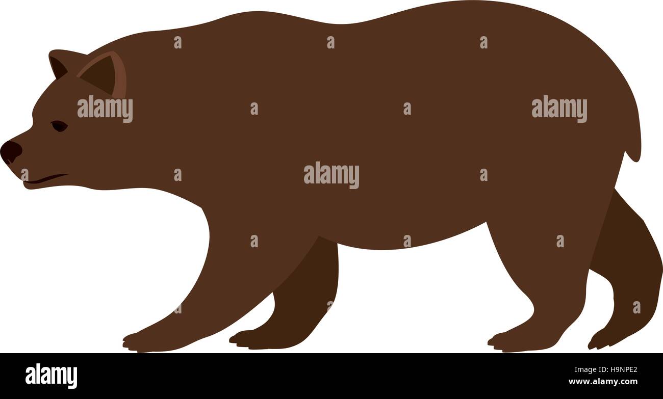 Isolated bear animal design Stock Vector Image & Art - Alamy