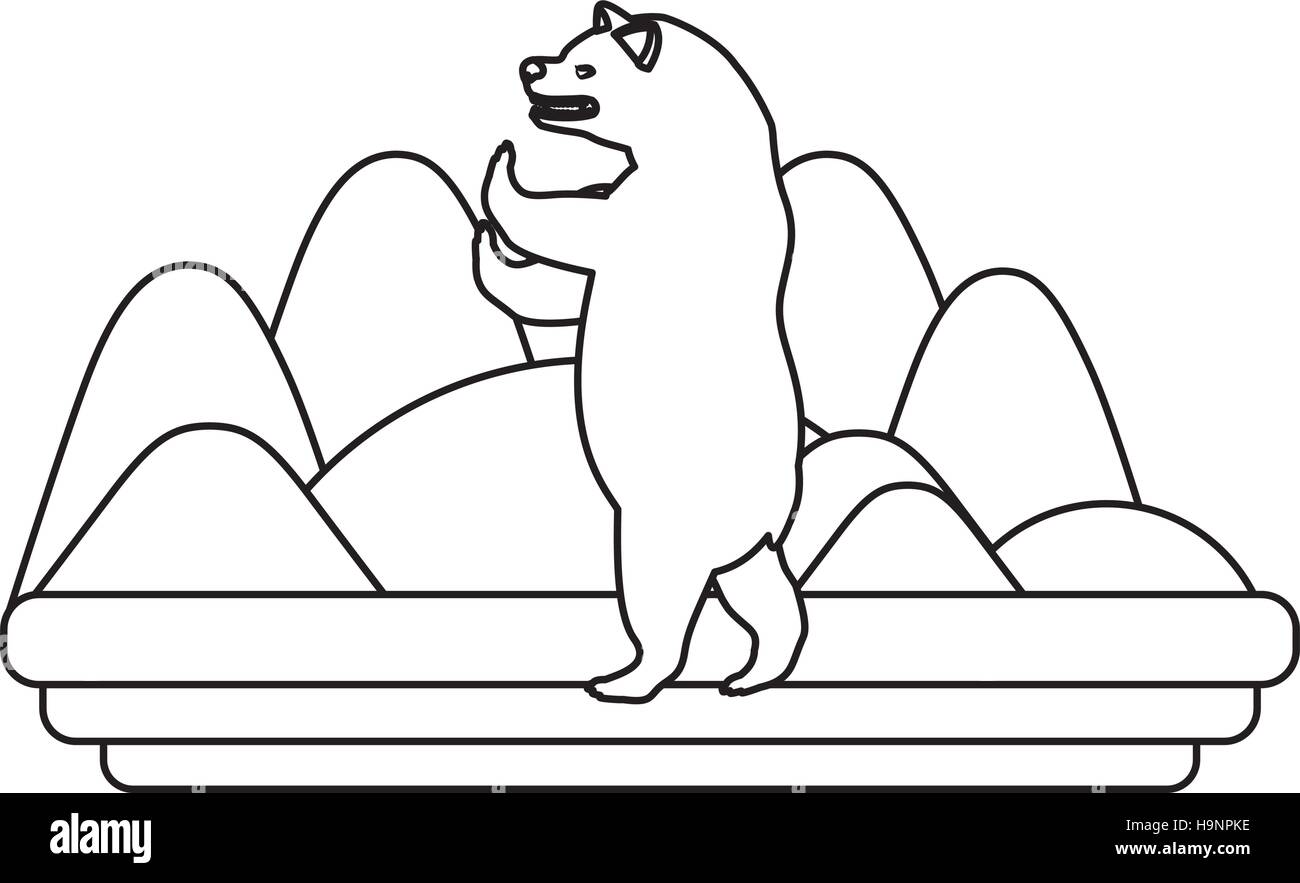 Isolated bear animal design Stock Vector Image & Art - Alamy