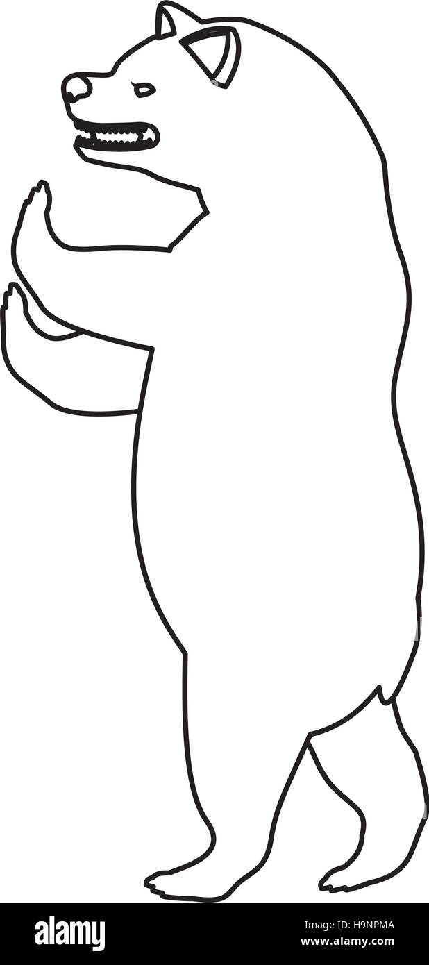 Isolated bear animal design Stock Vector Image & Art - Alamy