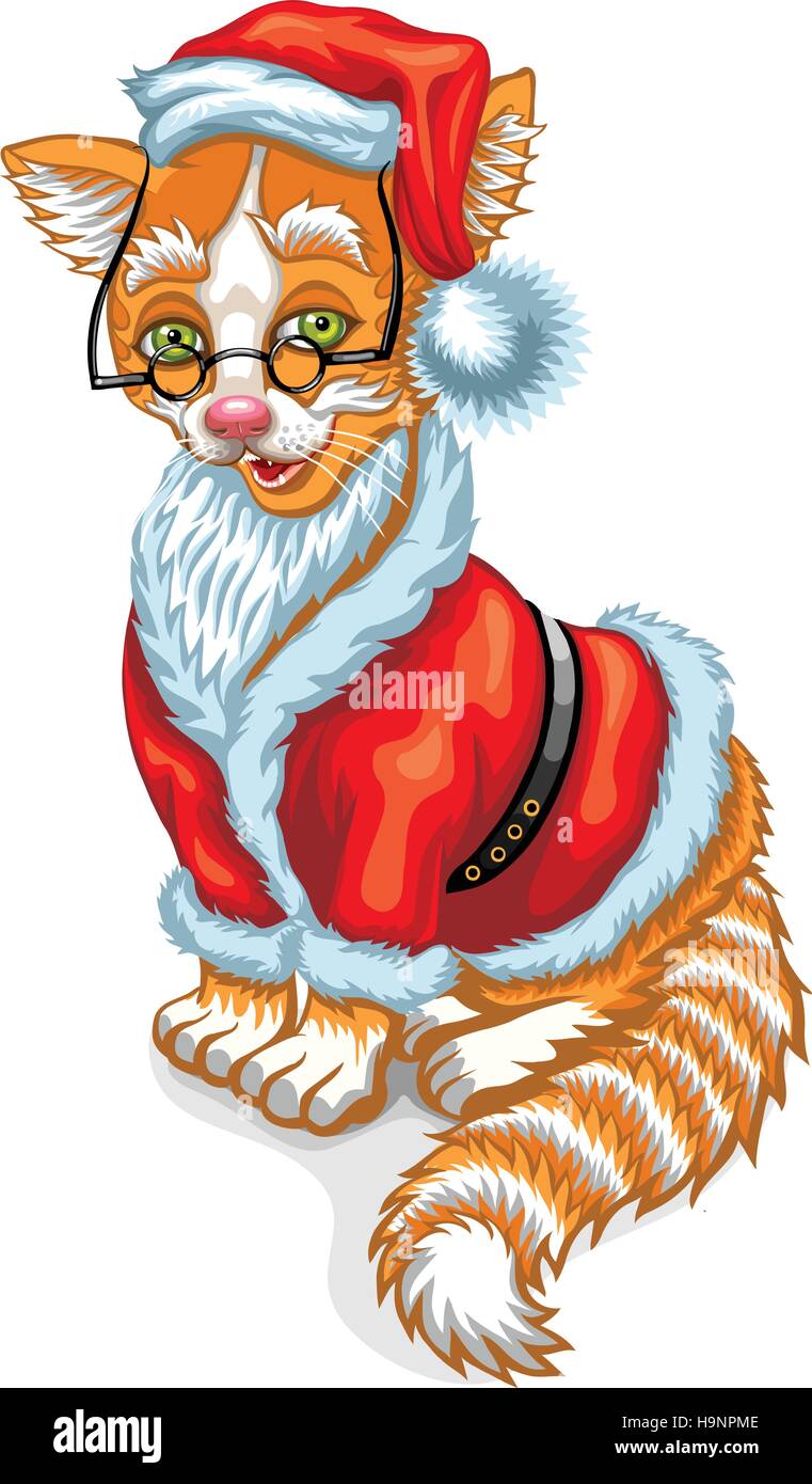 Cat Santa Claus. Vector illustration isolated on white Stock Vector ...