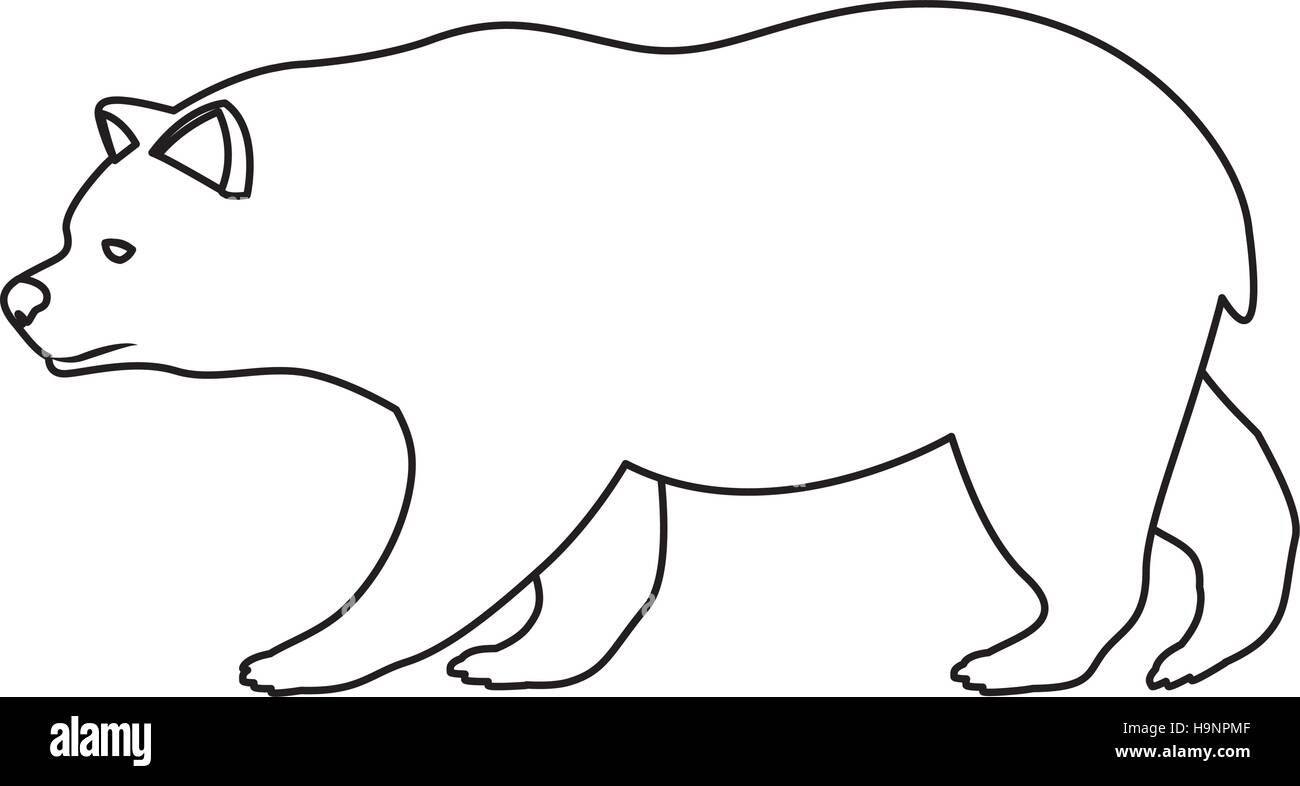 Isolated bear animal design Stock Vector Image & Art - Alamy