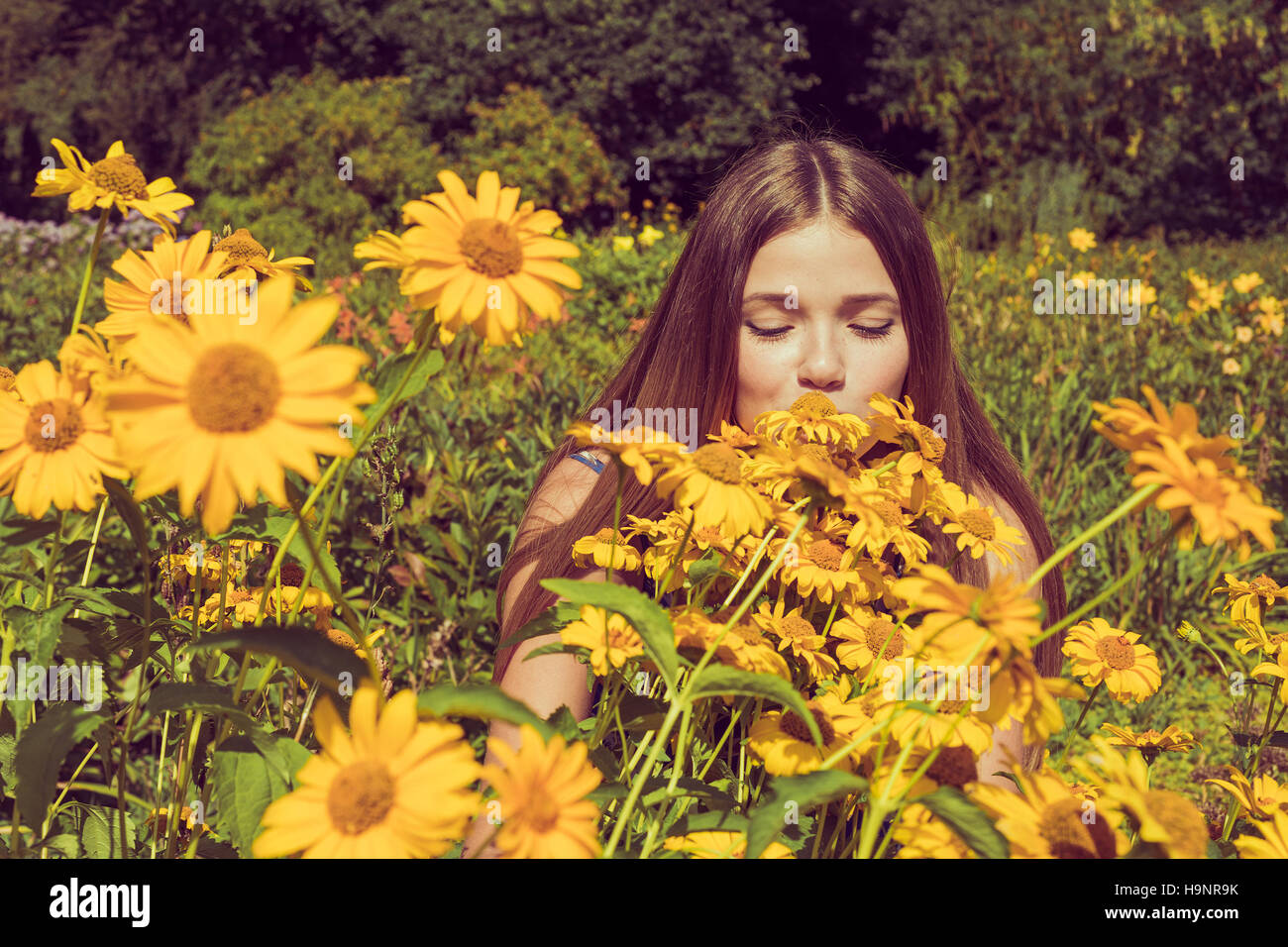 Young woman sniffing flowers Heliopsis in the garden. Photo toned Stock ...