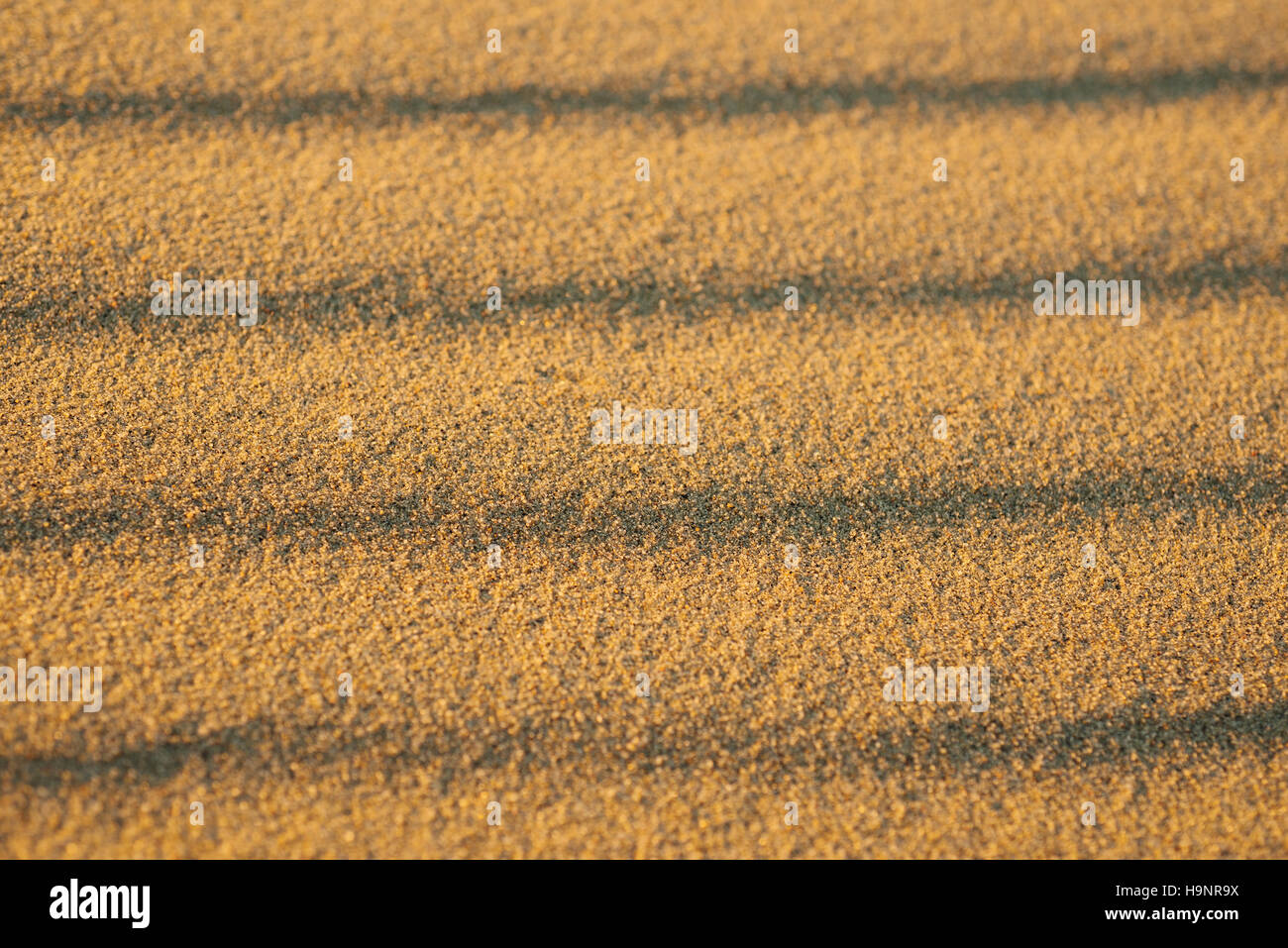 Striped pattern on a sand dune Stock Photo - Alamy