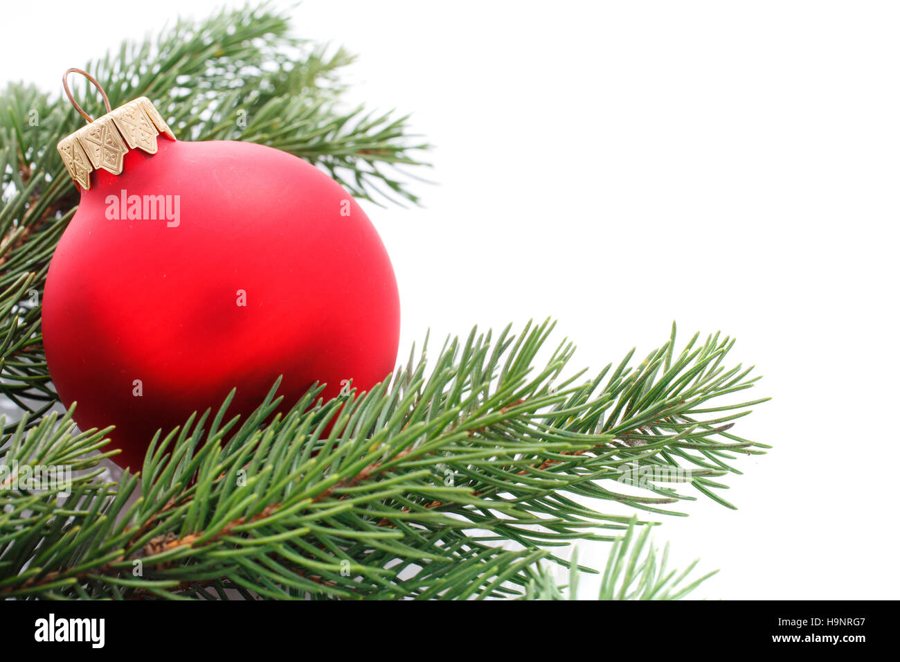 Sprigs of christmas tree hi-res stock photography and images - Alamy