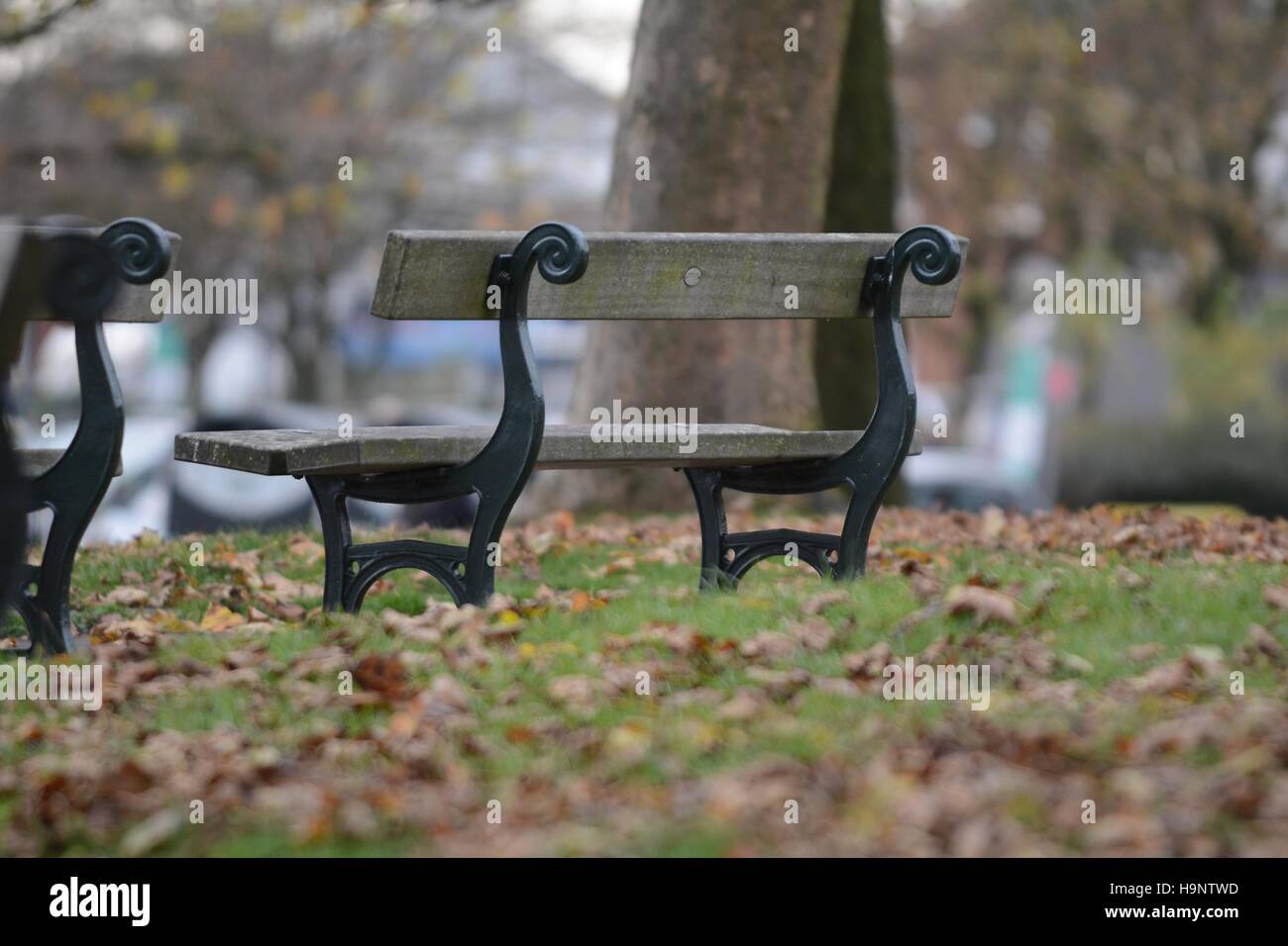 Ornate viewing bench Stock Photo - Alamy