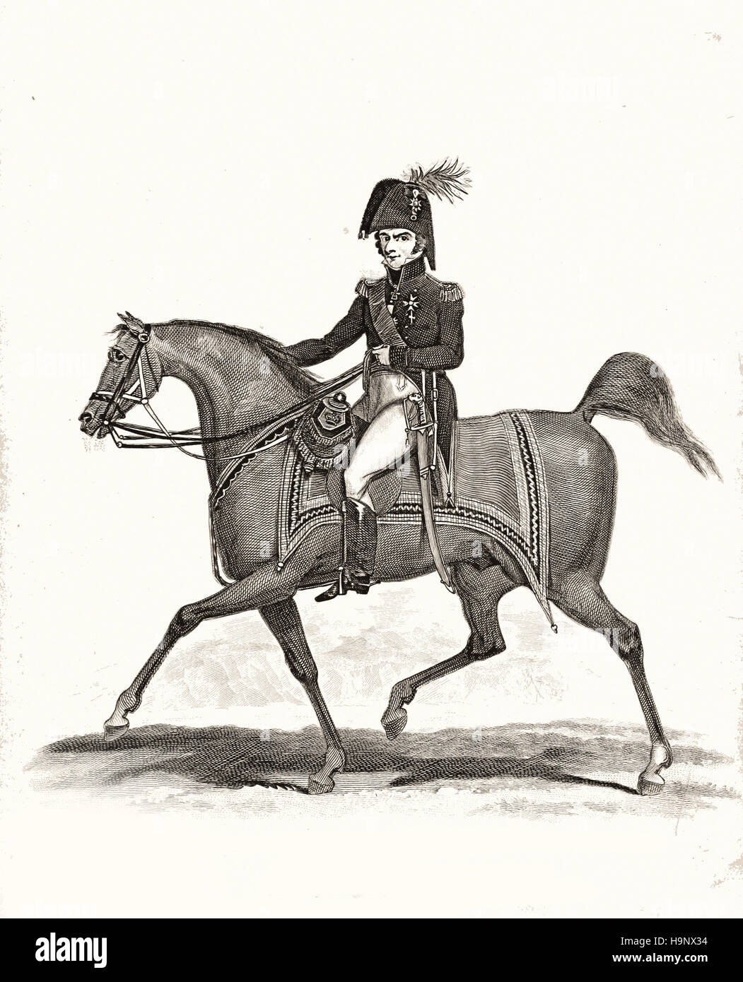 Duke of Wellington Stock Photo - Alamy