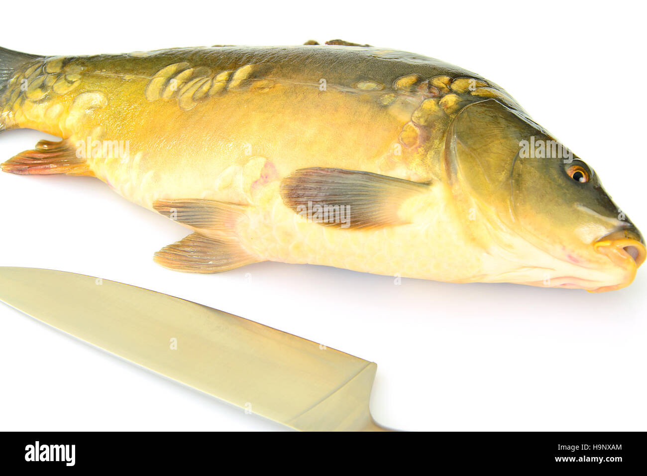 Healthy and Diet Food: Fish Carp Stock Photo - Alamy