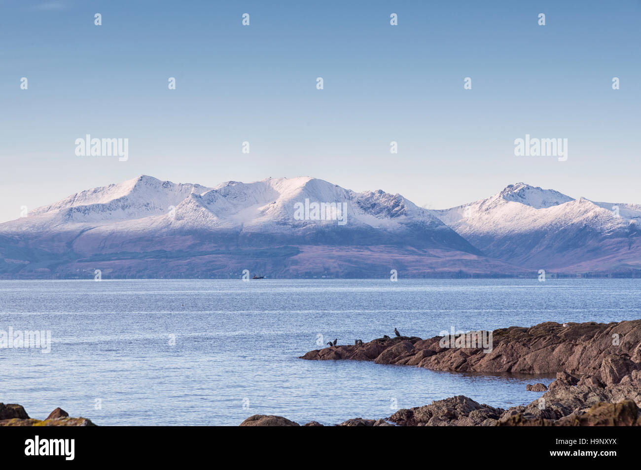 Comorants sitting on rocks looking out to Arran Snow topped Hills Stock ...