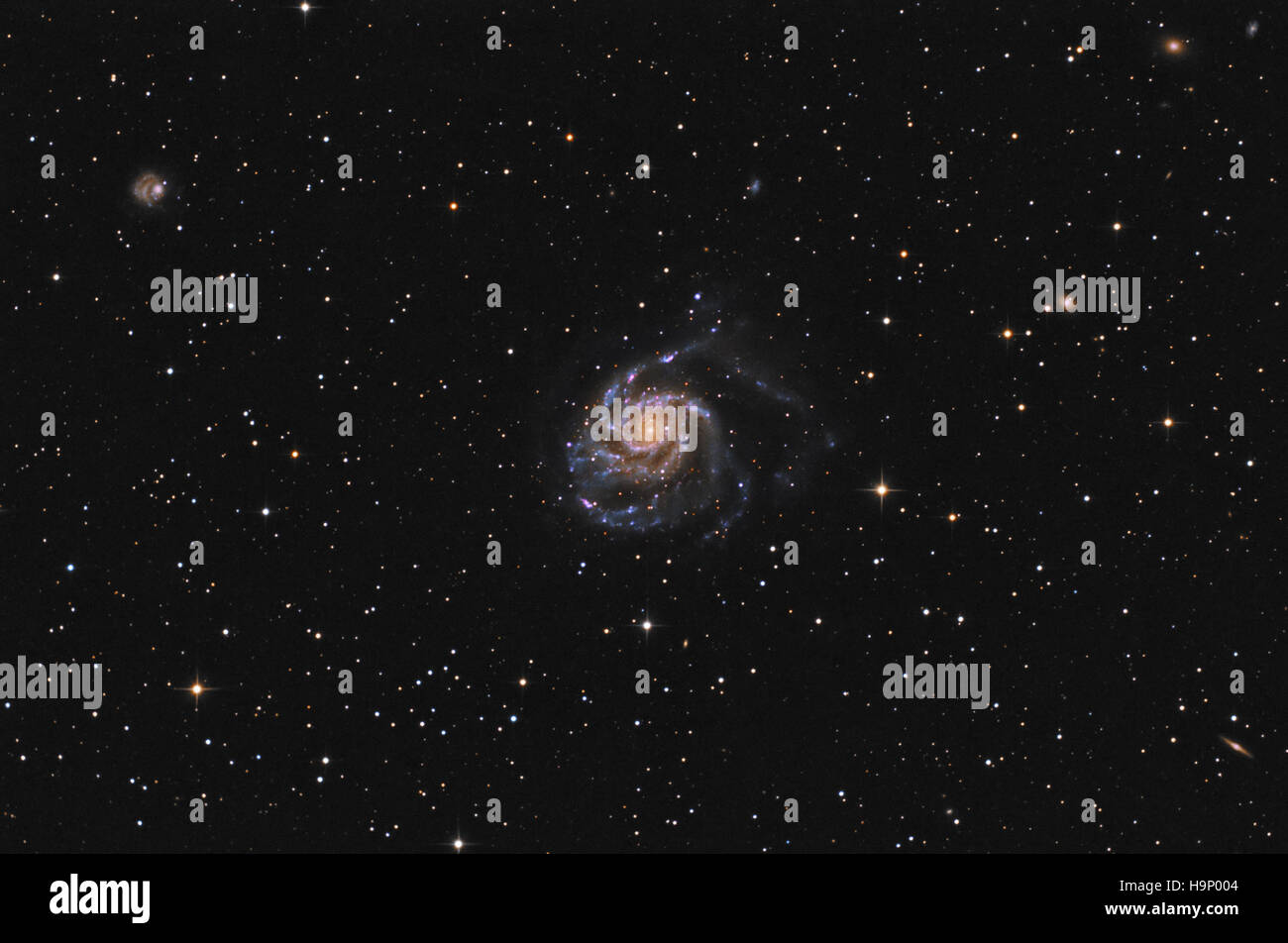 Pinwheel Galaxy (M101) in the constellation Ursa Major Stock Photo - Alamy