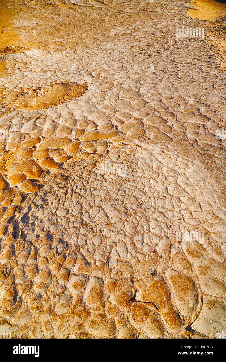 abstract texture line wave in oman the old desert and the empty quarter ...