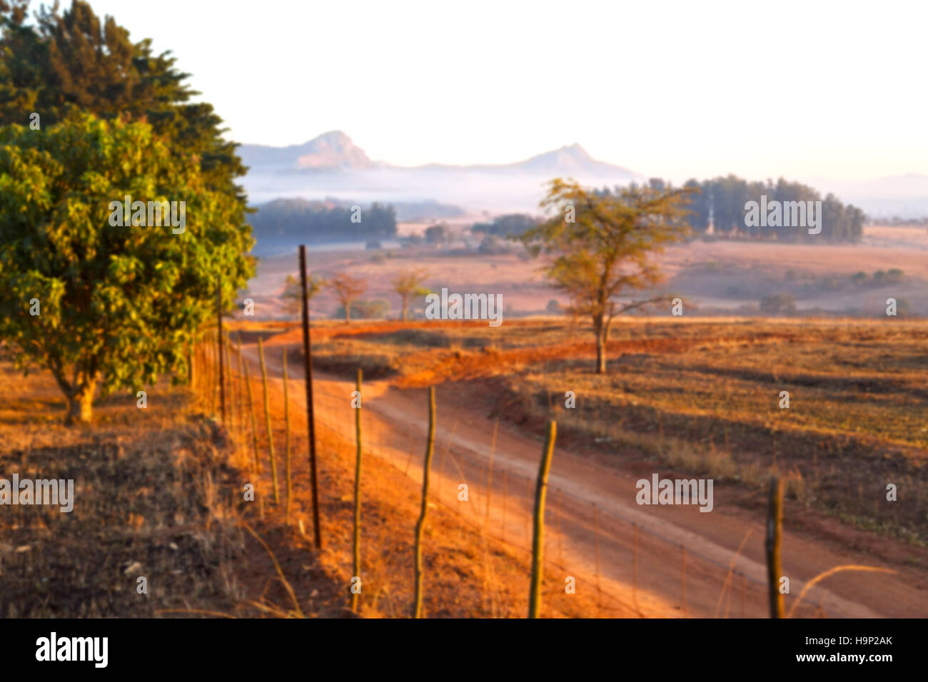 blur in swaziland mlilwane wildlife nature reserve mountain and tree ...