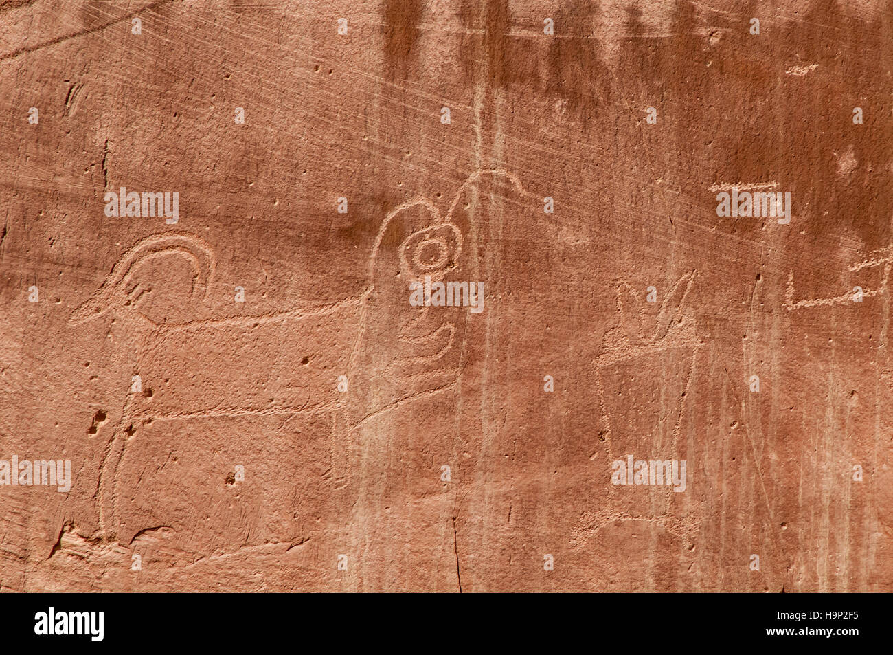 Fremont petroglyphs, Capitol Reef National Park, Fruita, Utah, USA ...