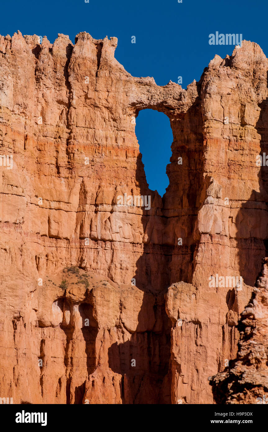 Bryce Canyon National Park Utah, USA Stock Photo - Alamy