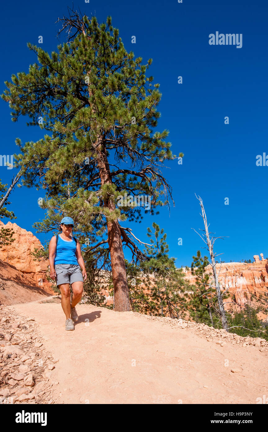 Hiking in Bryce Canyon National Park Utah, USA. (MR Stock Photo - Alamy