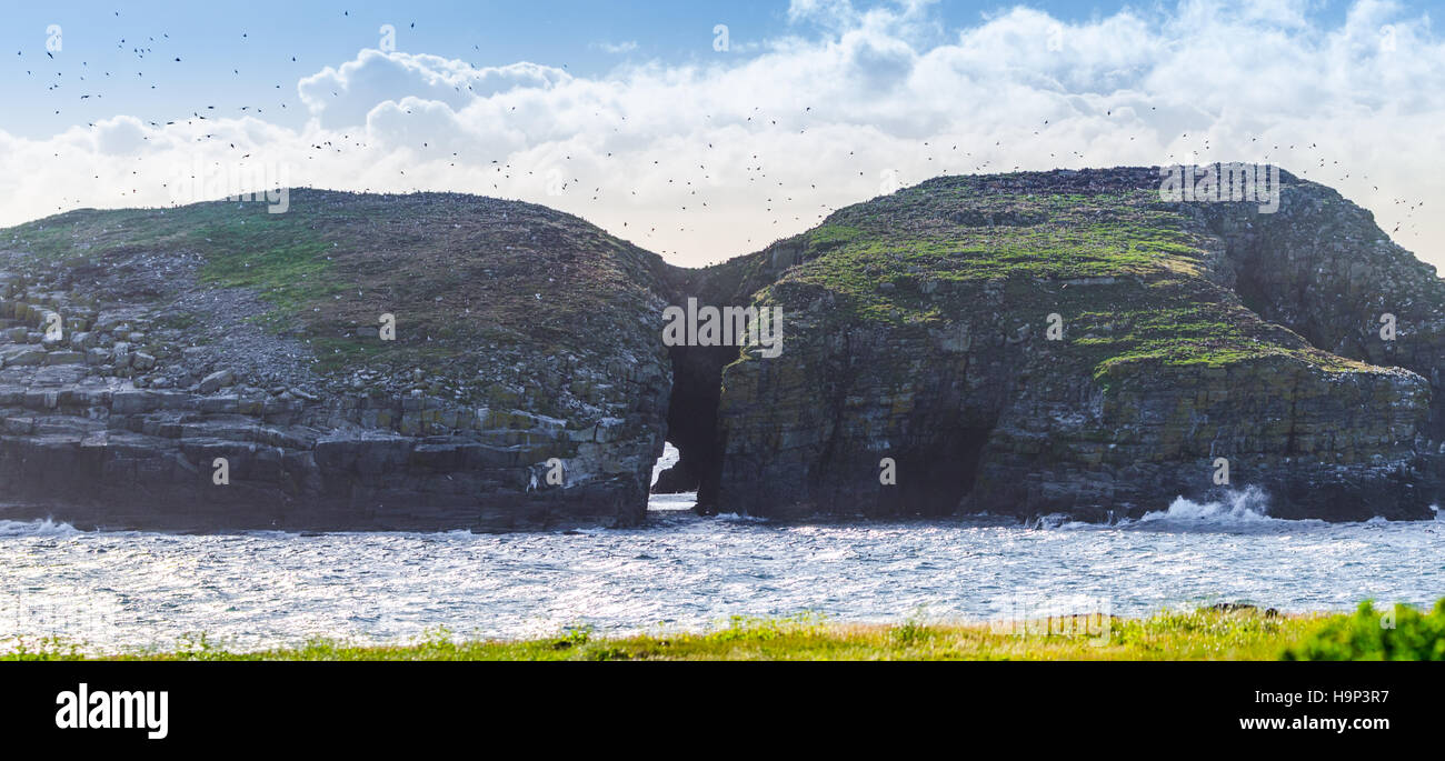 Birds flying while Sun shines on bird island in Maberly, Newfoundland ...