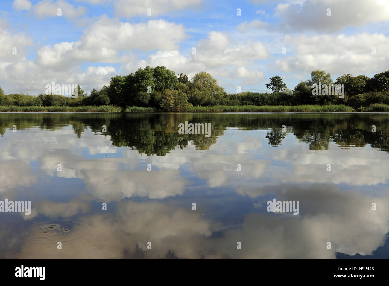 Cotswold water park summer hi-res stock photography and images - Alamy