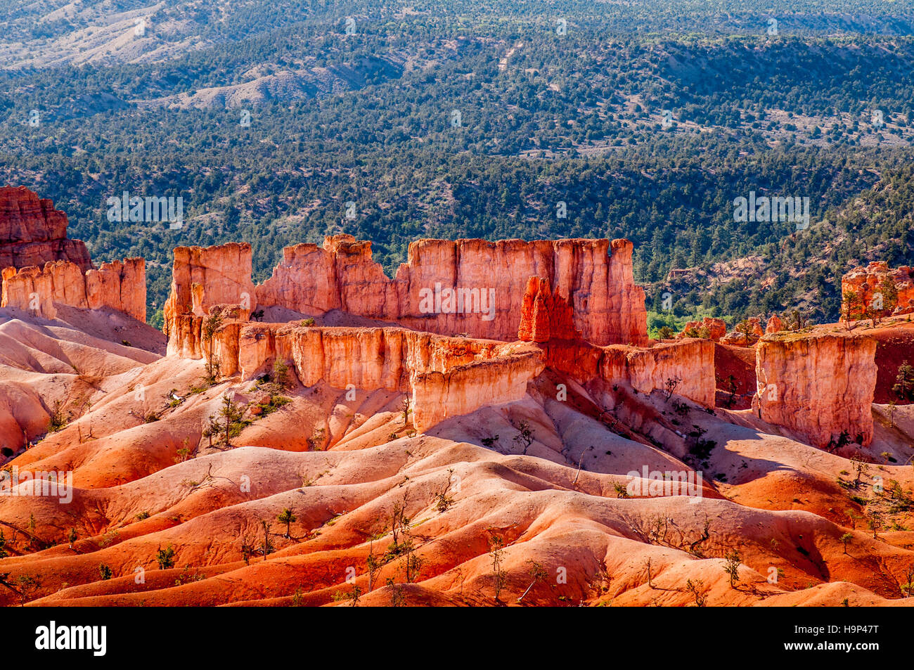 Bryce Canyon National Park Utah, USA Stock Photo - Alamy