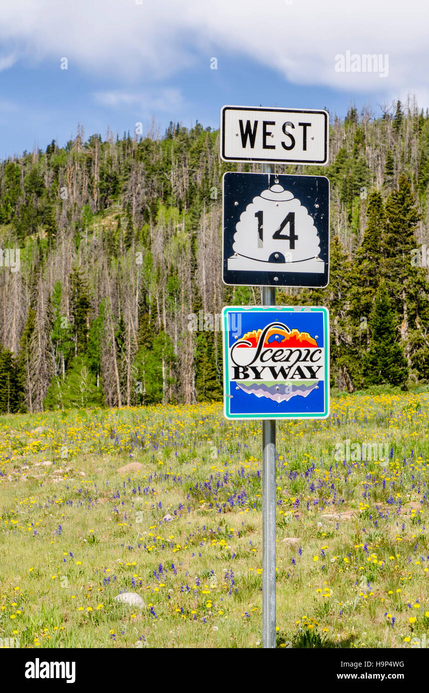 Highway 14 Scenic Byway, Dixie National Forest, Utah, USA Stock Photo ...