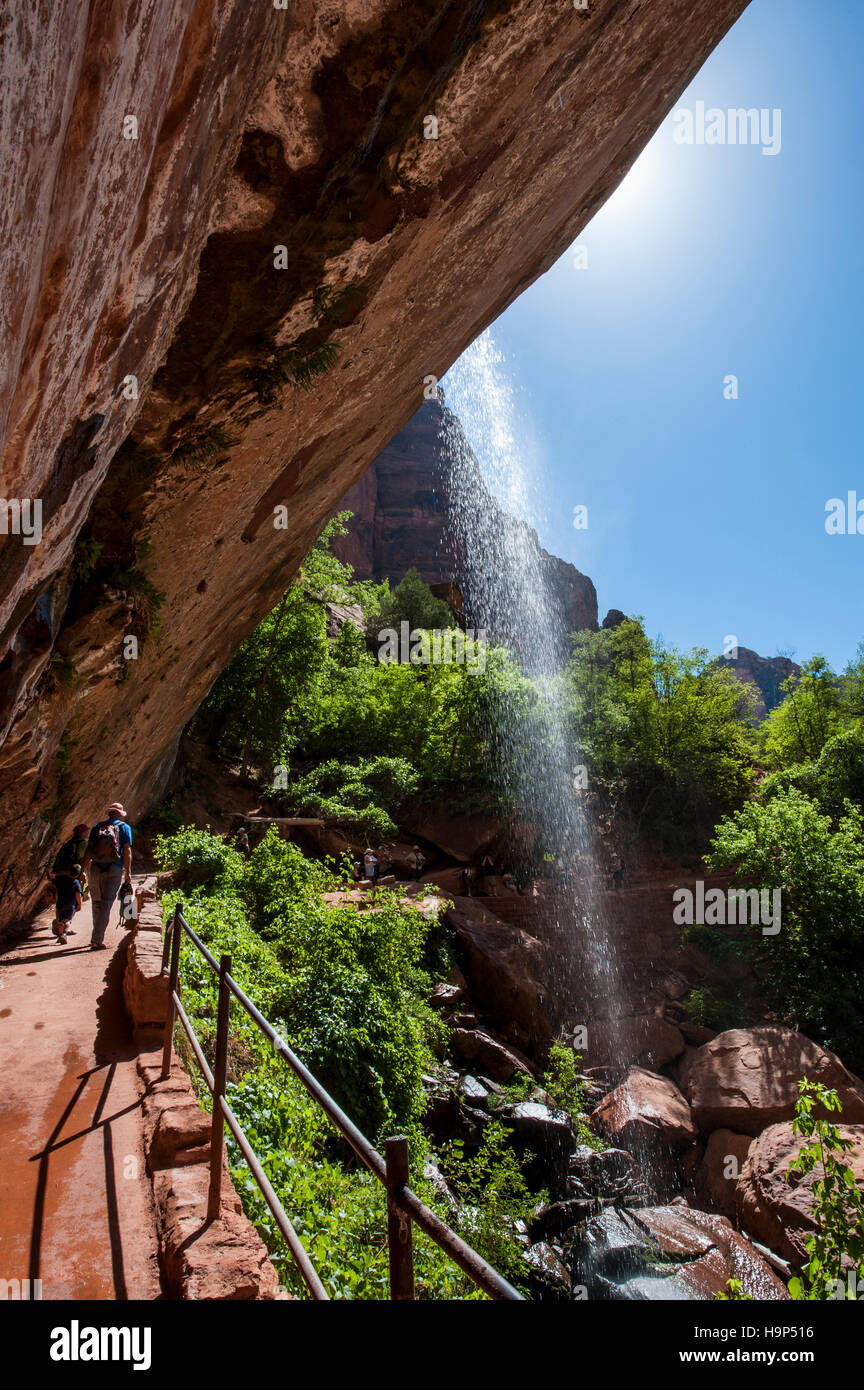 Weeping Rock, Zion National Park, Utah, USA Stock Photo - Alamy