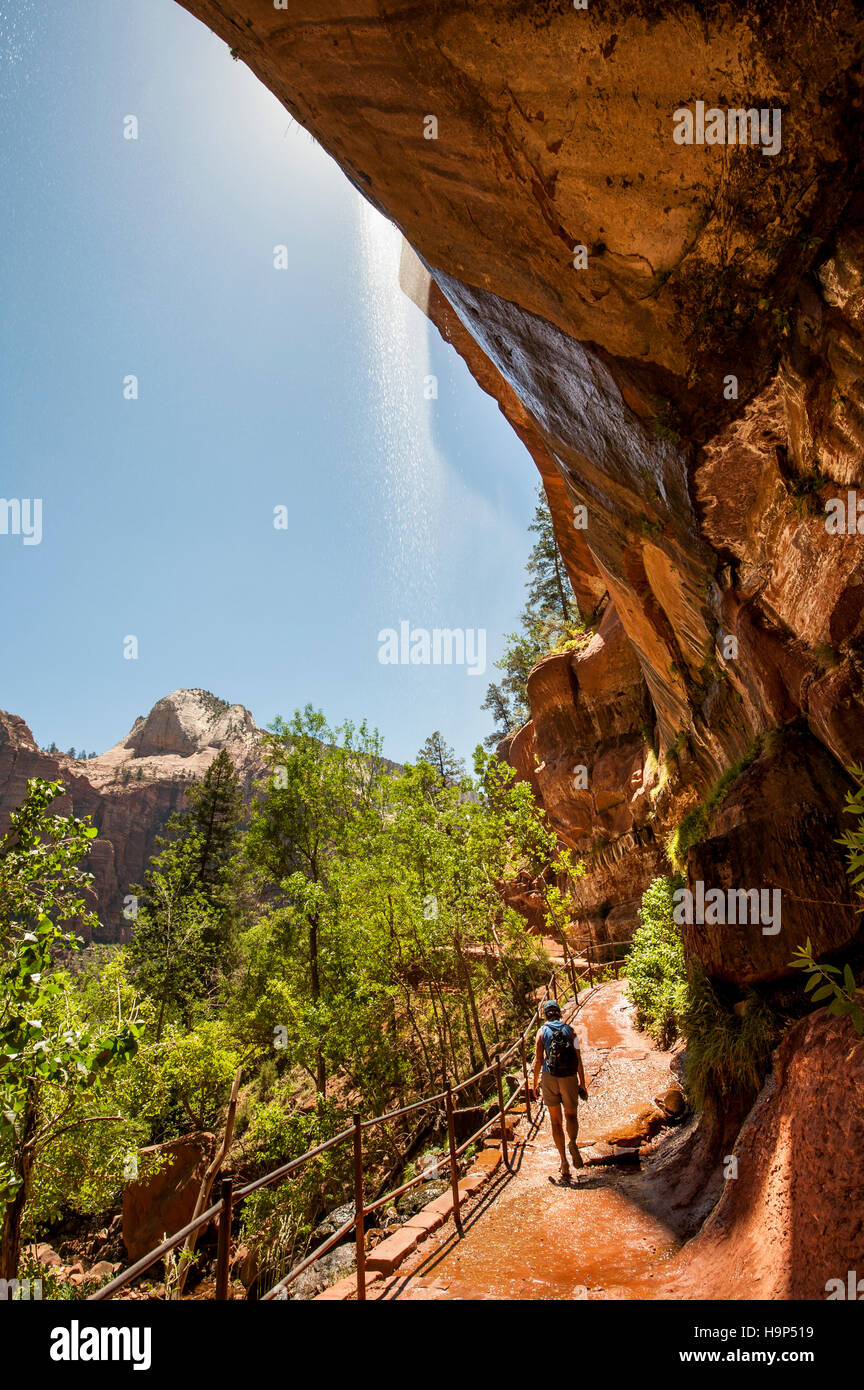 Weeping Rock, Zion National Park, Utah, USA. (MR Stock Photo - Alamy