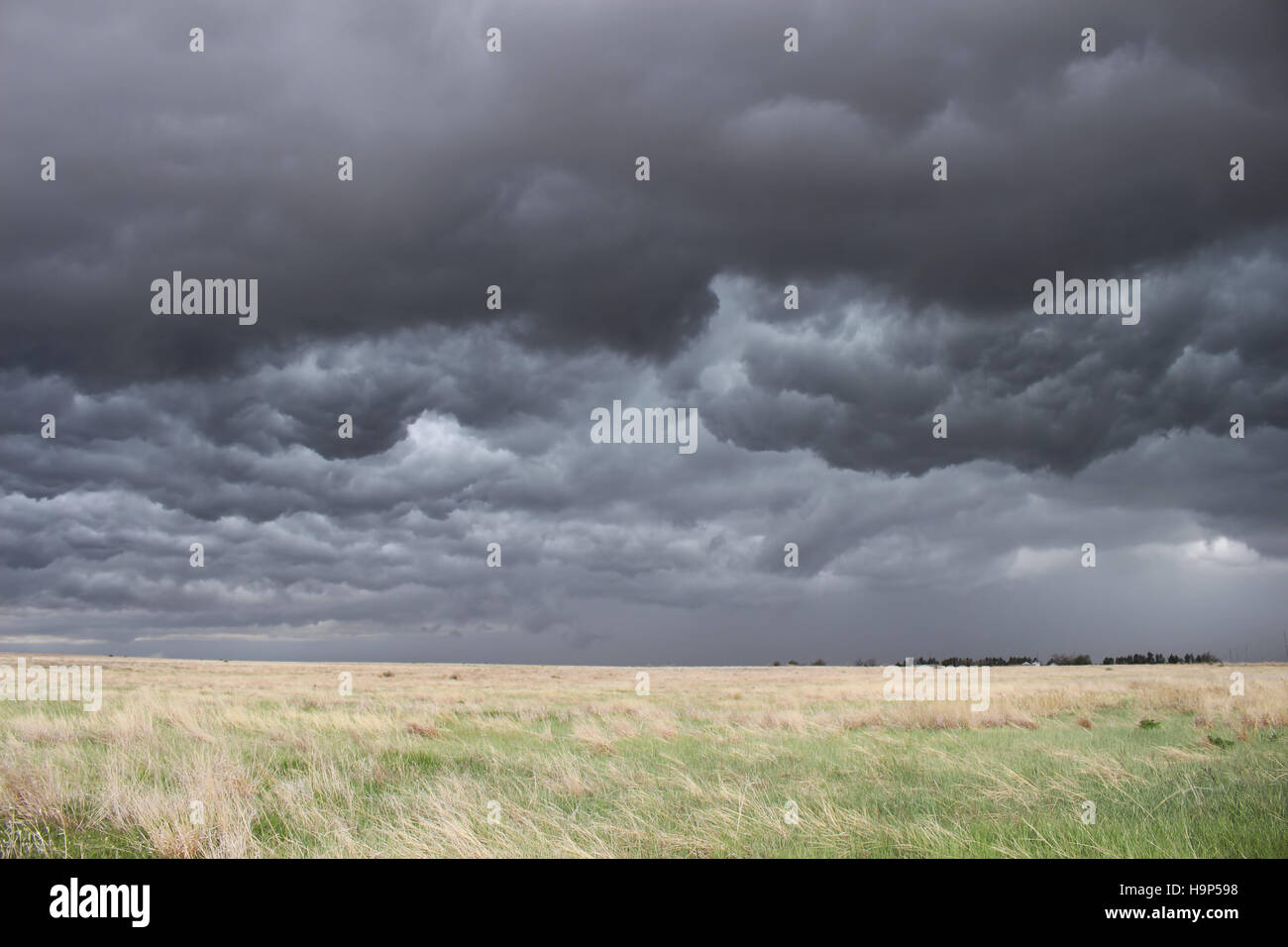 The sky turns dark and turbulent as a storm approaches in the high ...