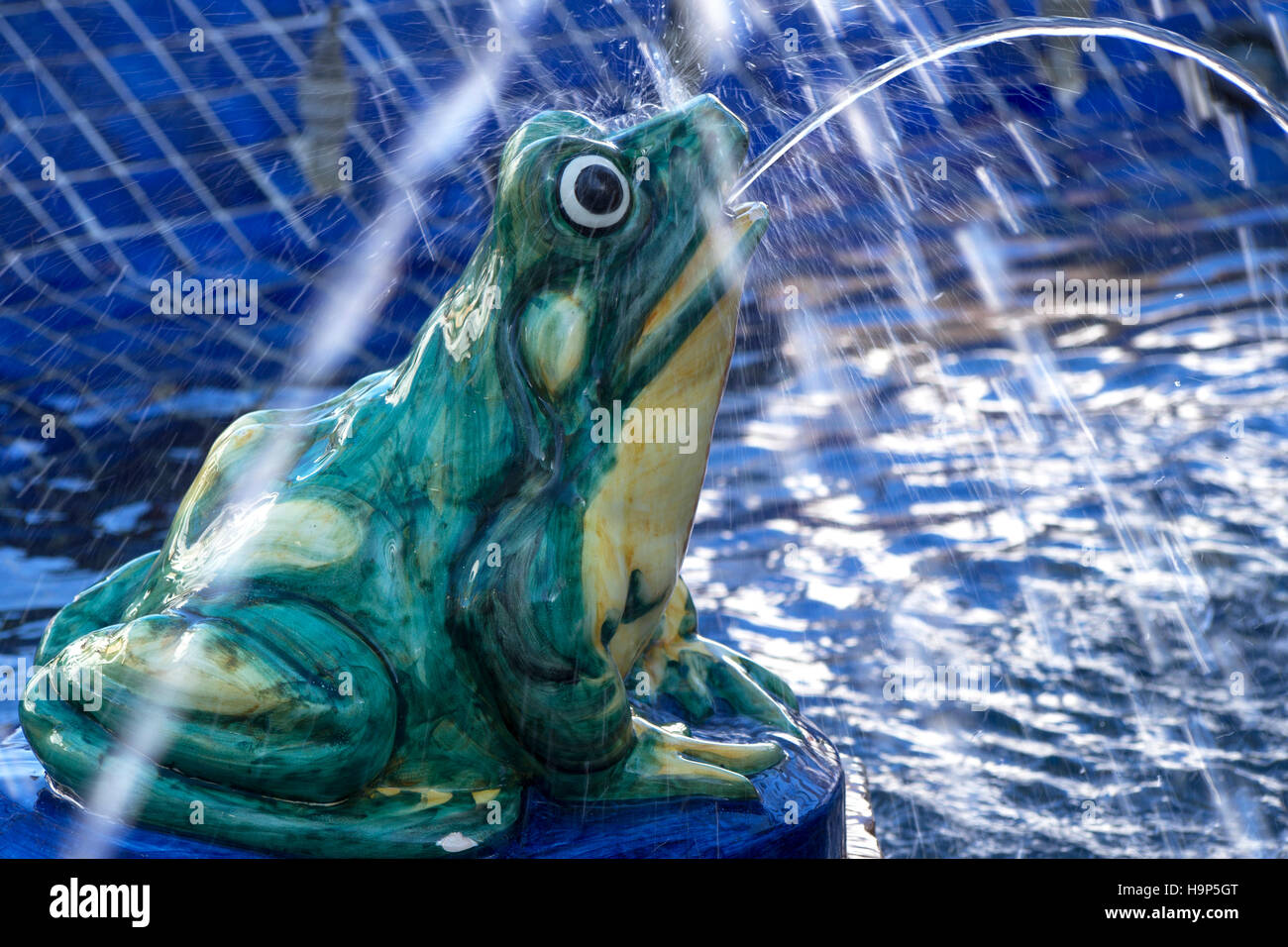 Memorial Fountain with ceramic frog in Vejer, Spain Stock Photo - Alamy