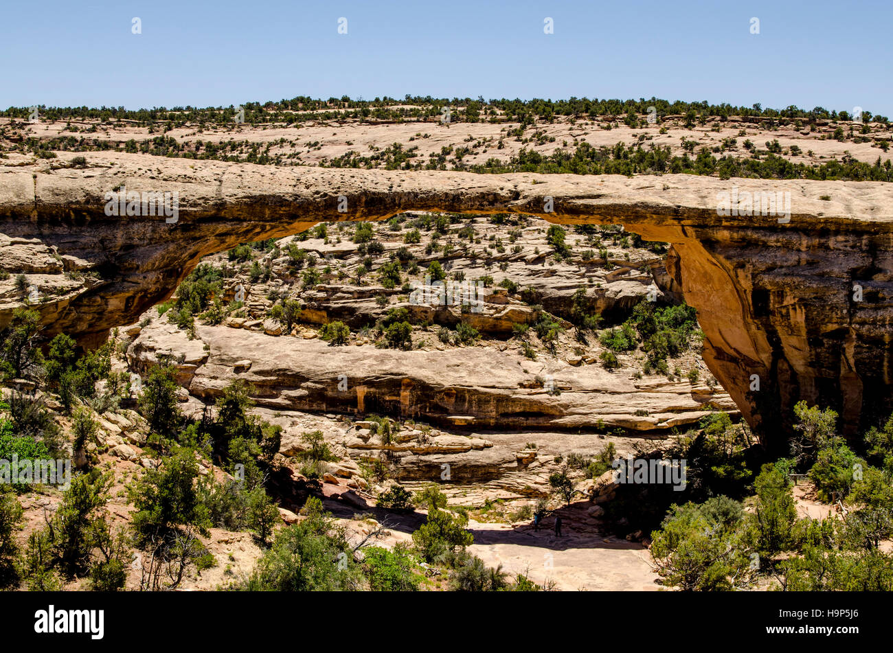 Owachomo Bridge, Natural Bridges National Monument, Utah, USA Stock ...