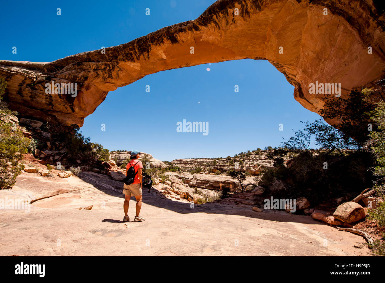 Owachomo Bridge, Natural Bridges National Monument, Utah, USA. (MR ...