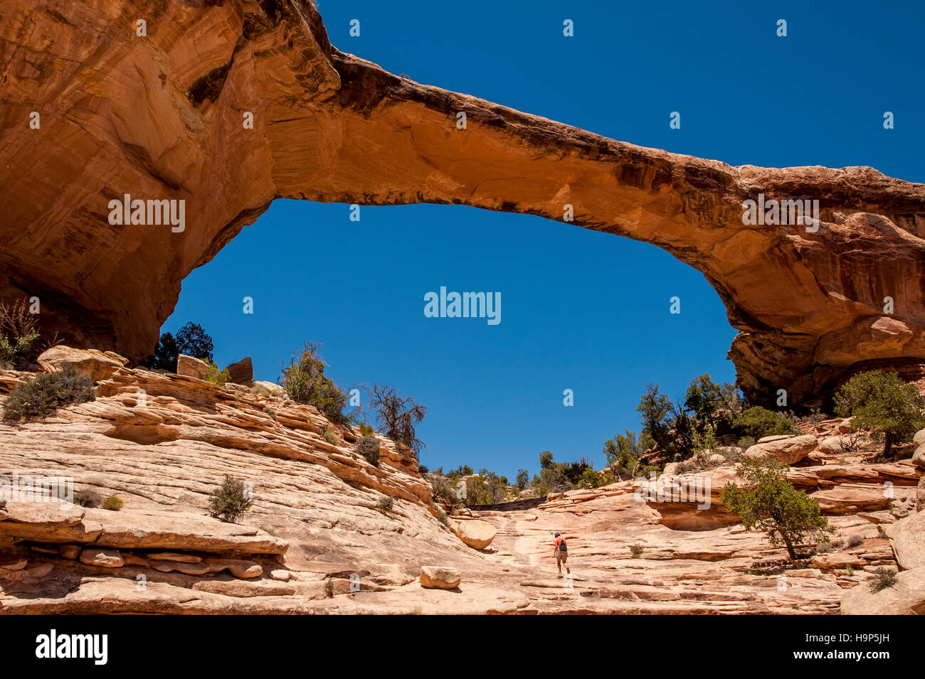 Owachomo Bridge, Natural Bridges National Monument, Utah, USA. (MR ...