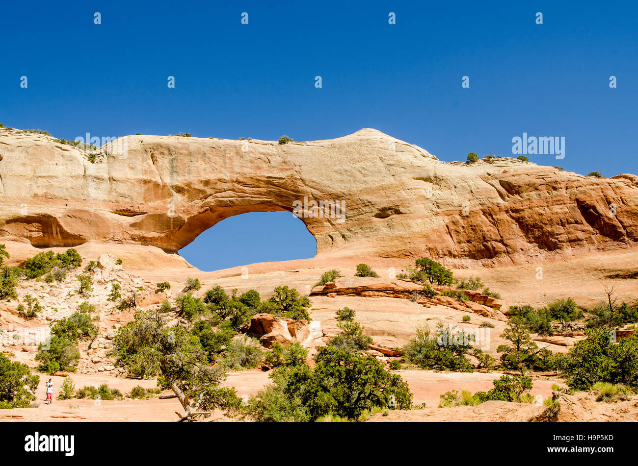The Windows Arches, Arches National Park, Utah, USA Stock Photo - Alamy
