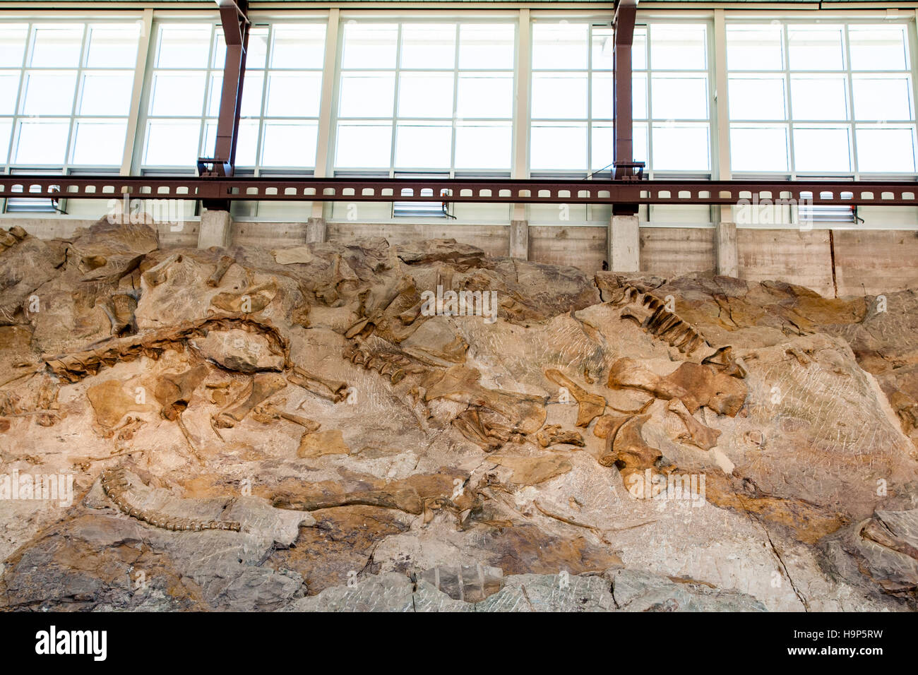 Dinosaur National Monument, Dinosaur, Utah, USA Stock Photo - Alamy