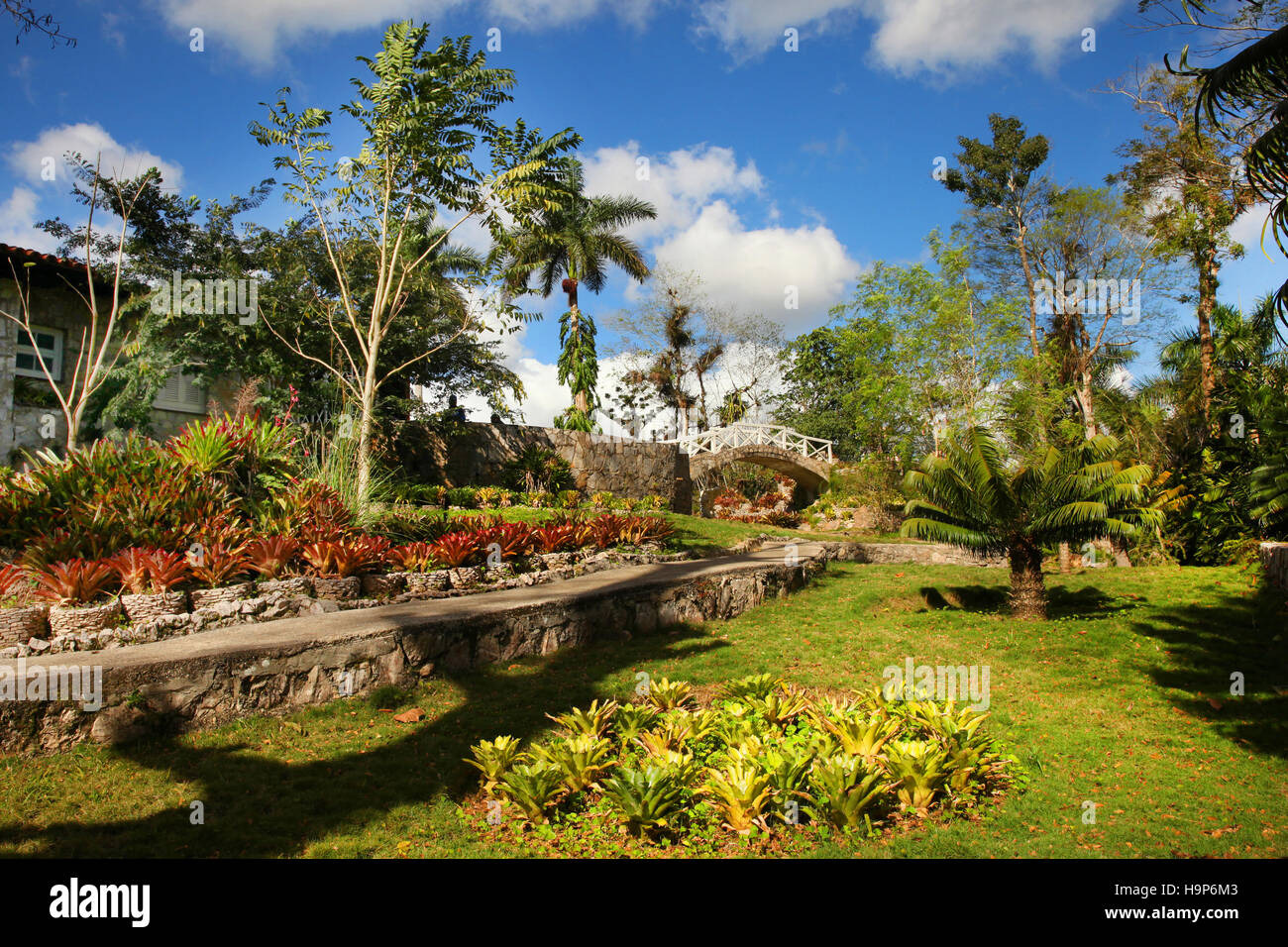 Soroa orchid botanical garden hi-res stock photography and images - Alamy