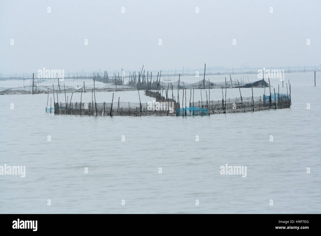Chilika Lake, Odisha, India Stock Photo - Alamy