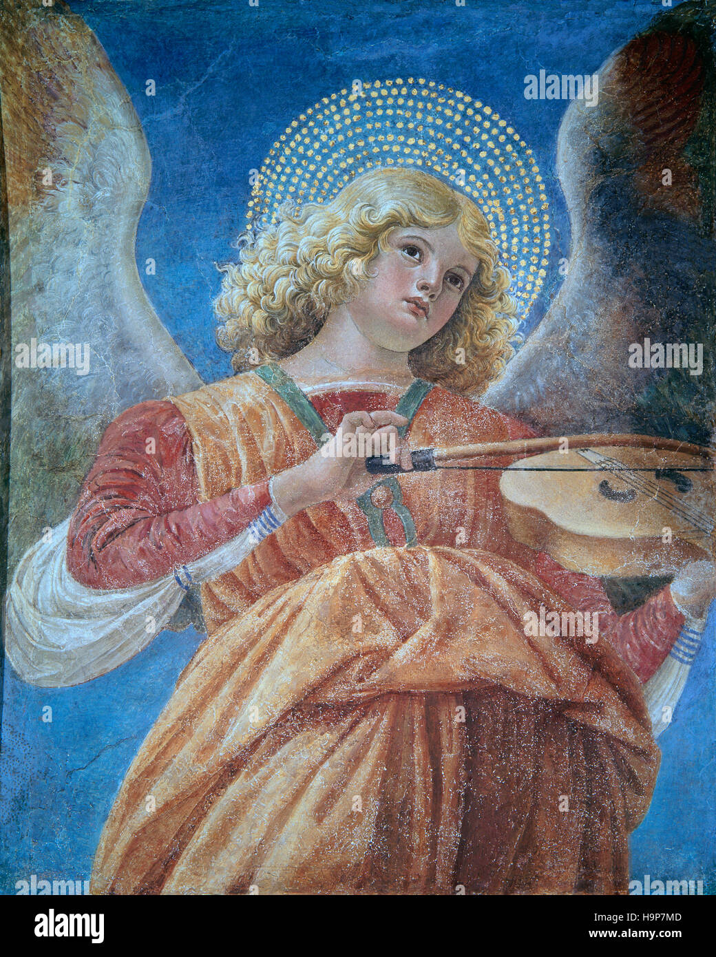 Melozzo Da Forli ( 1438 - 1494 ) Musical angel playing violin Stock Photo - Alamy