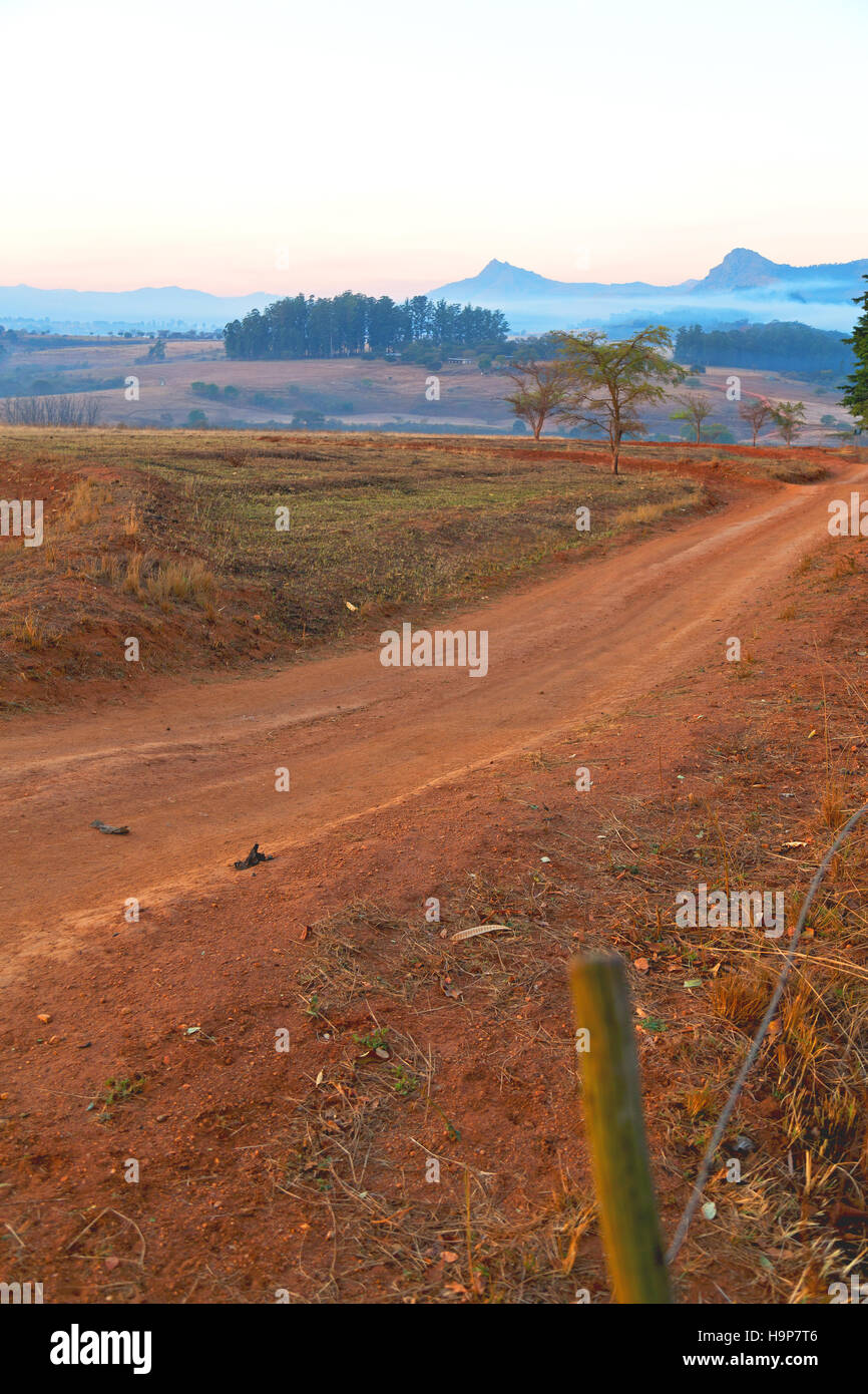 blur in swaziland mlilwane wildlife nature reserve mountain and tree ...