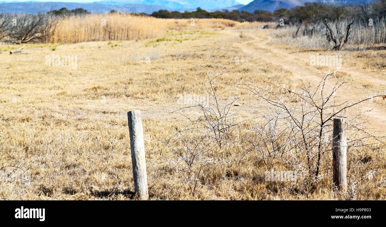 blur in south africa valley of desolation dirty road rock tree and sky ...