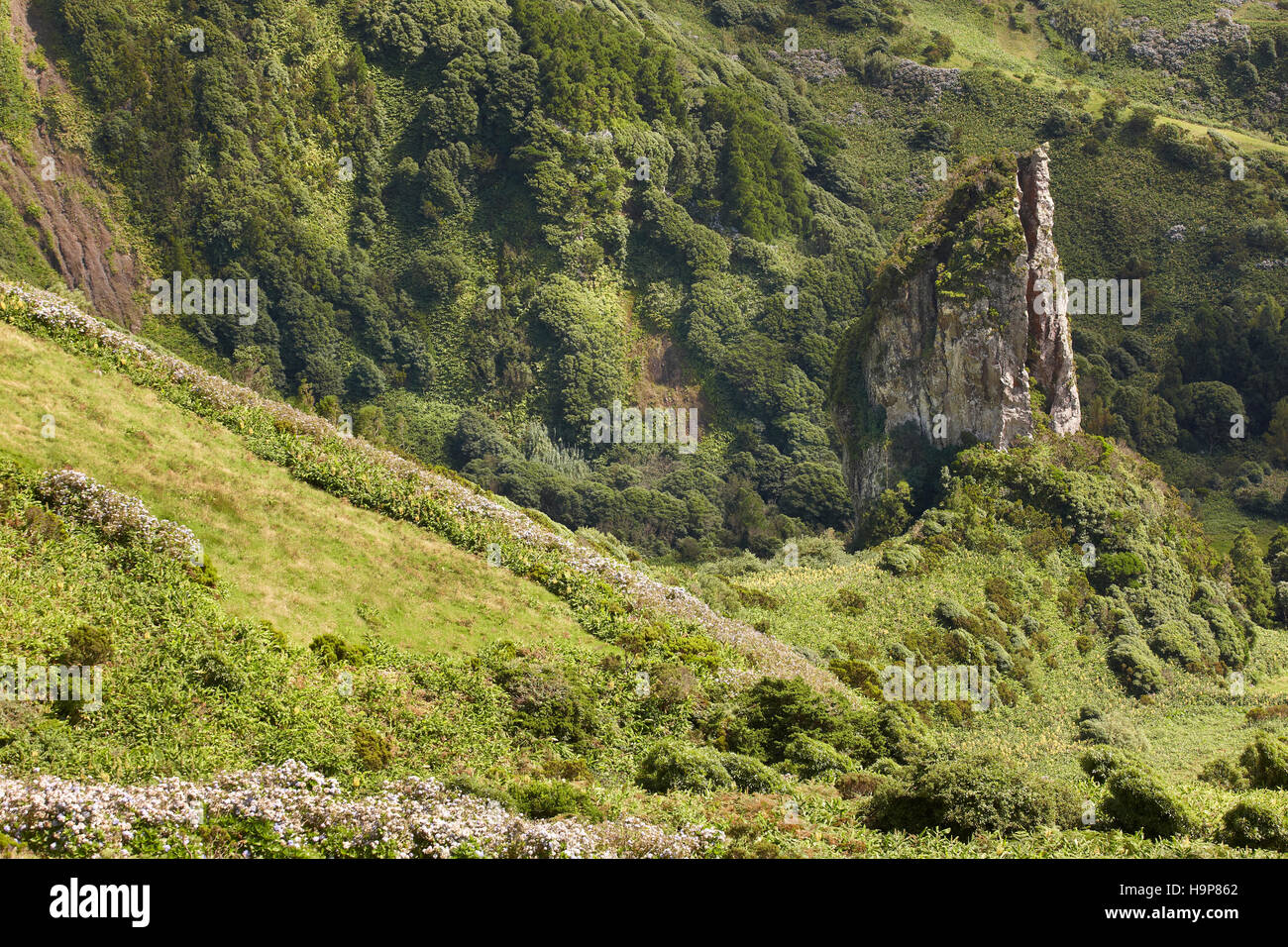The azores landscape hi-res stock photography and images - Alamy