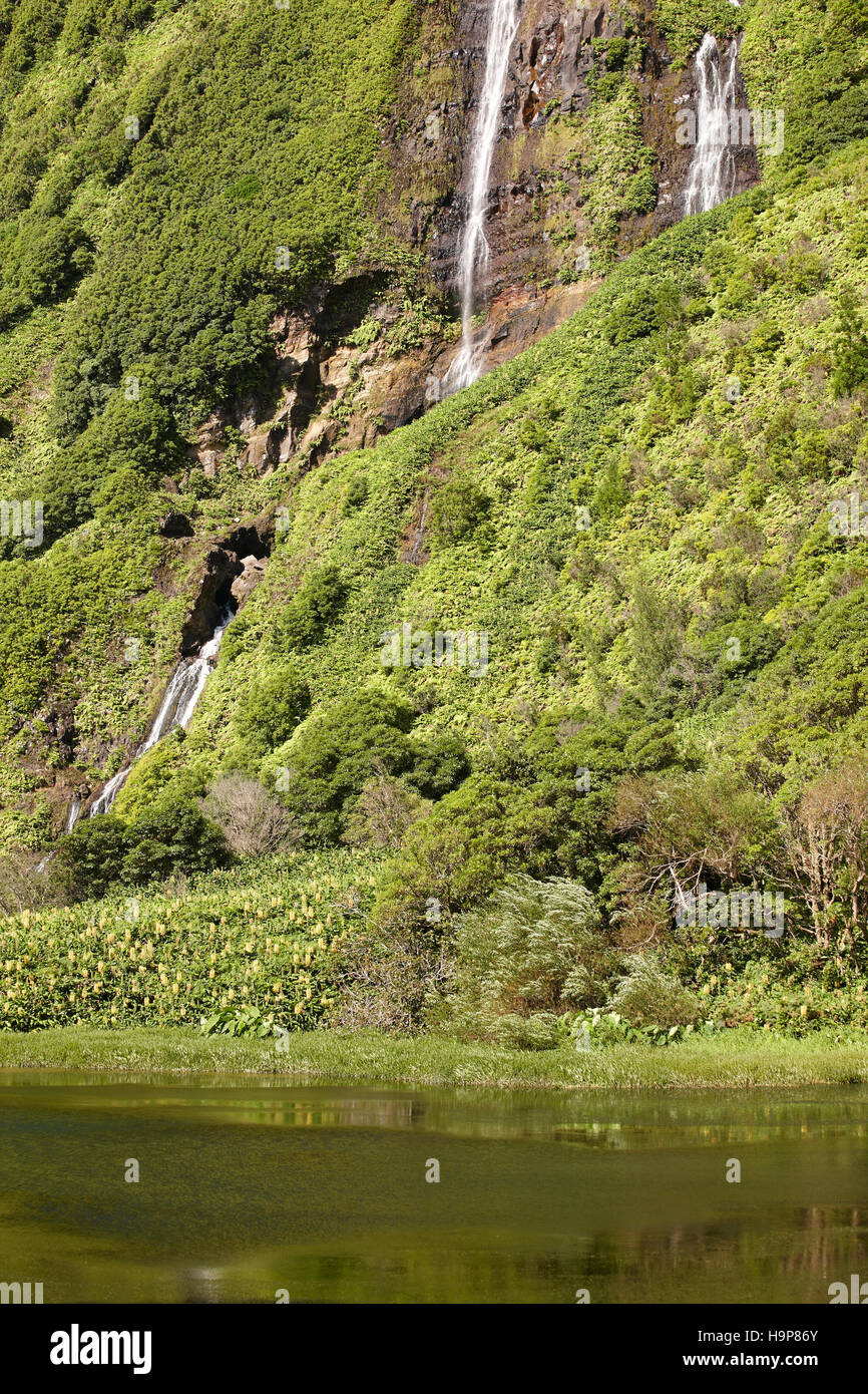 Azores landscape in flores hi-res stock photography and images - Alamy